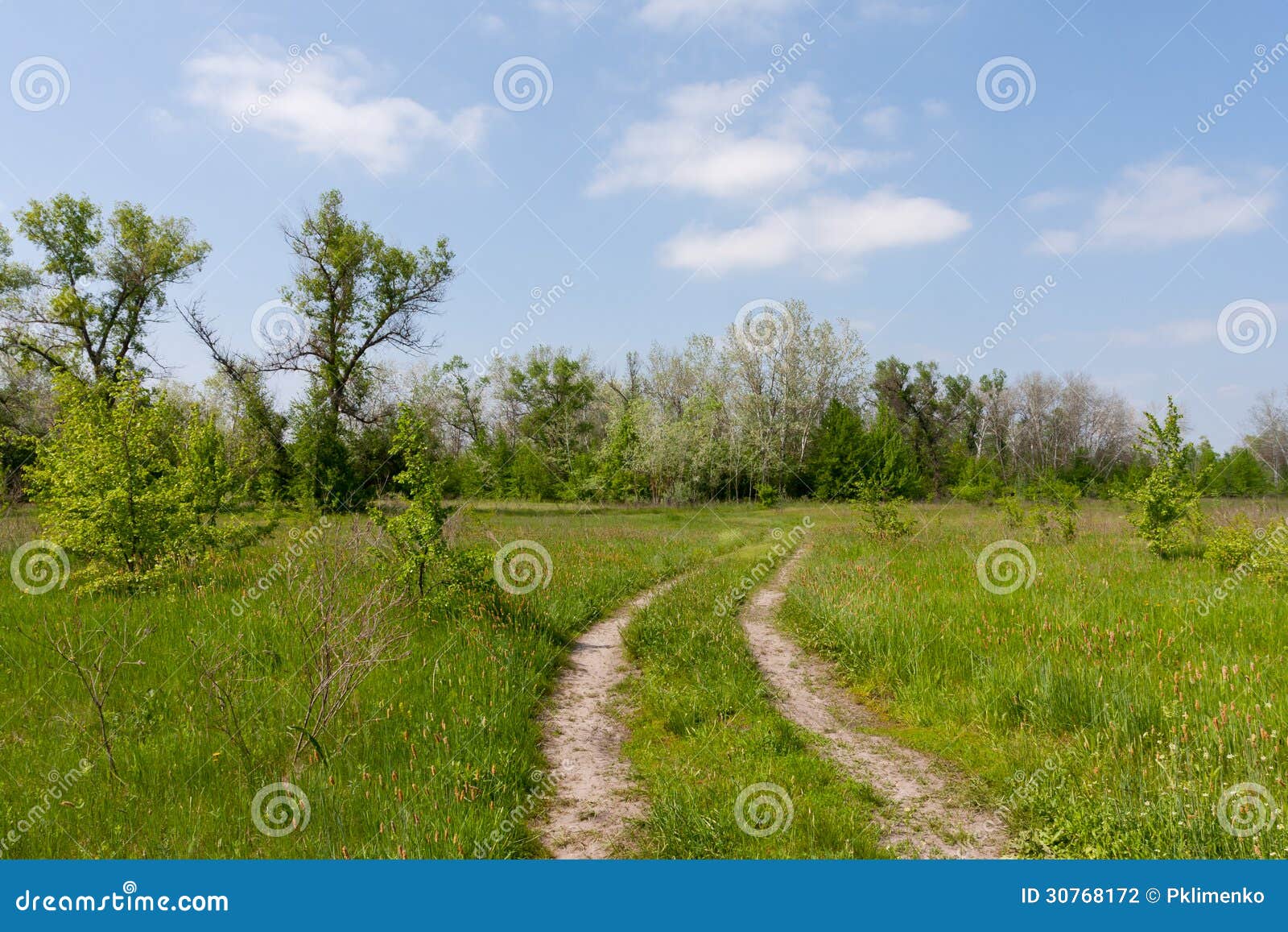 Rut Road among Green Meadow Stock Photo - Image of floral, path: 30768172