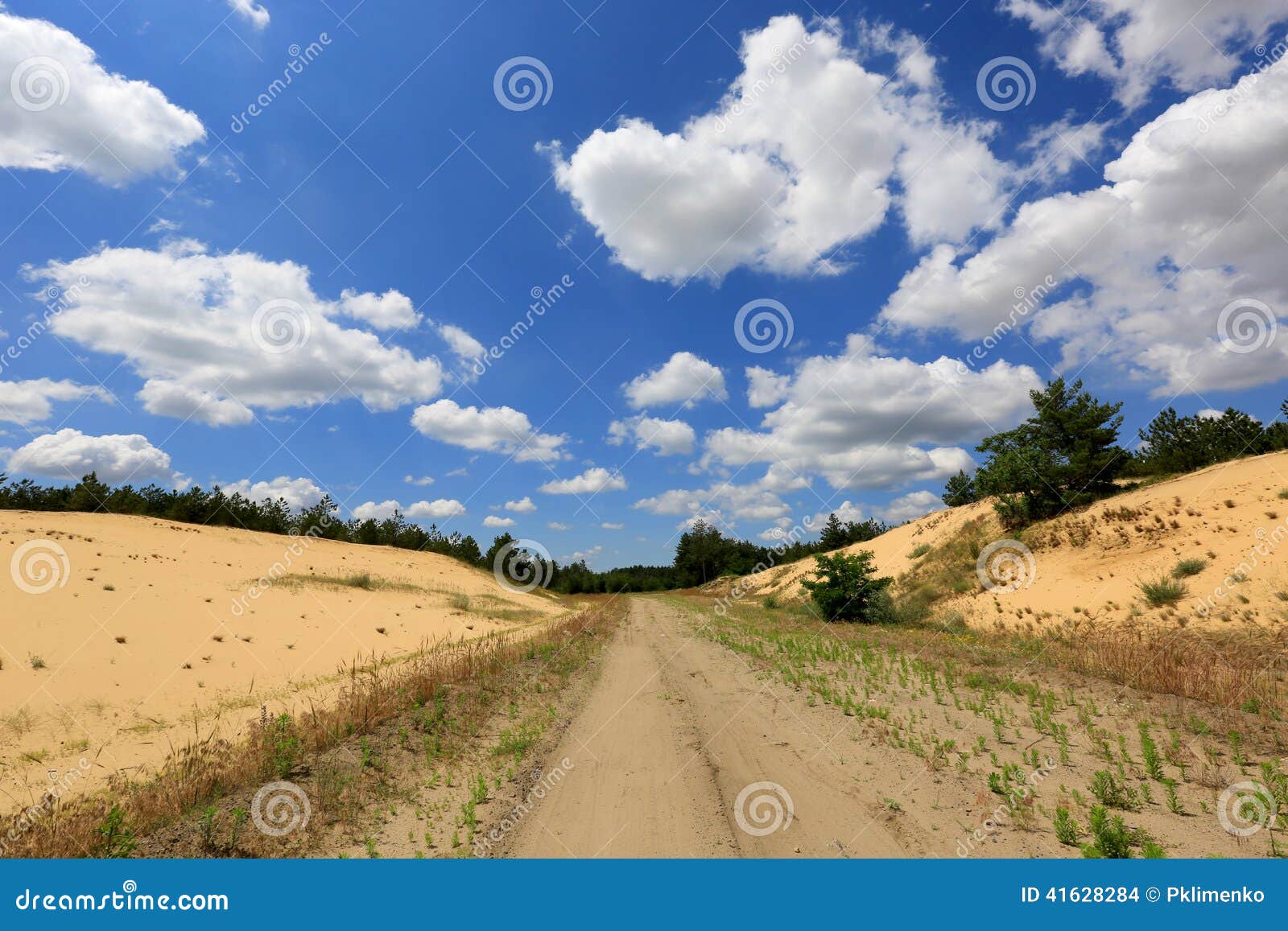 Rut road in sands stock photo. Image of arabian, pine - 41628284