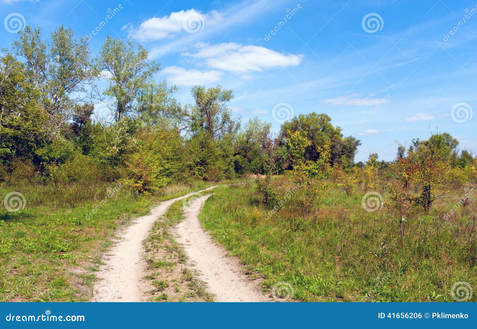 Rut road in steppe stock photo. Image of floral, scenery - 41656206