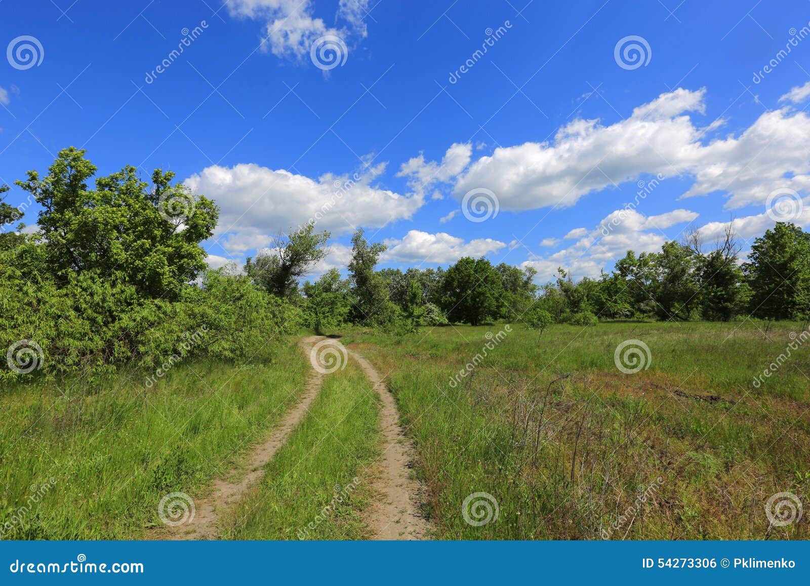 Rut road in steppe stock photo. Image of land, leaf, space - 54273306
