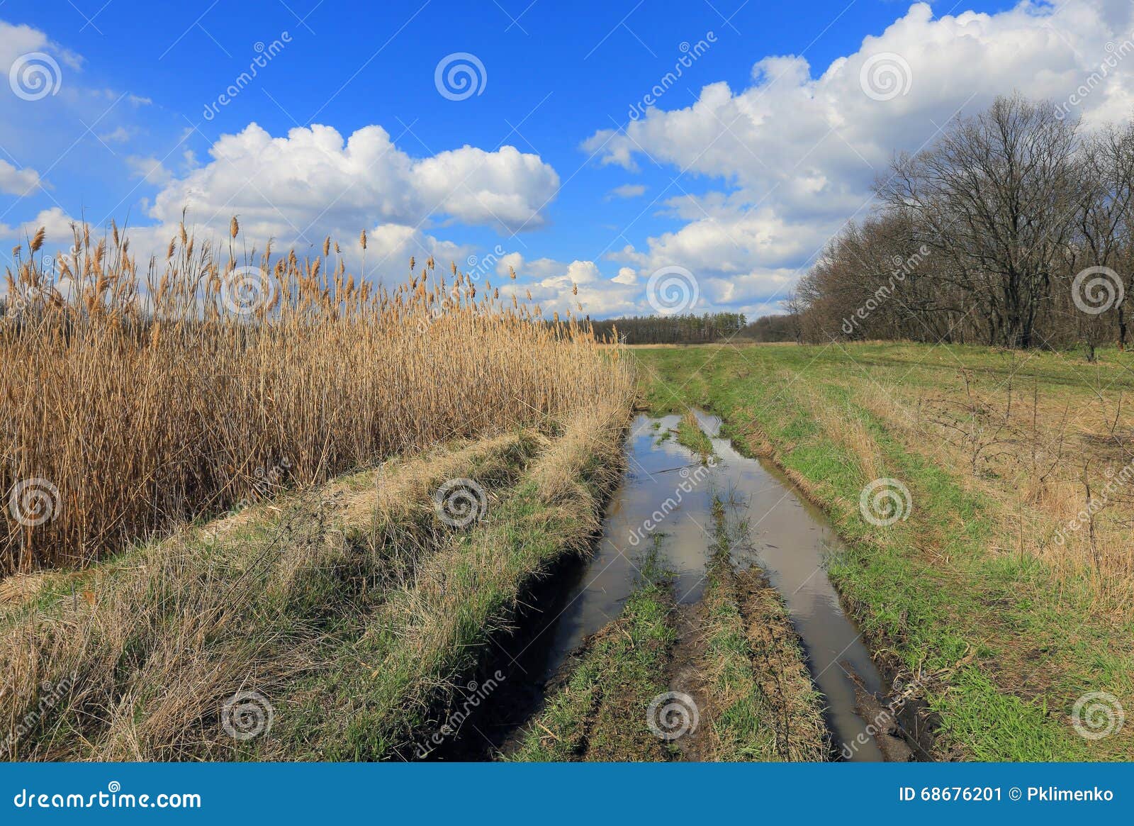 Rut road in steppe stock image. Image of muddy, landscape - 68676201