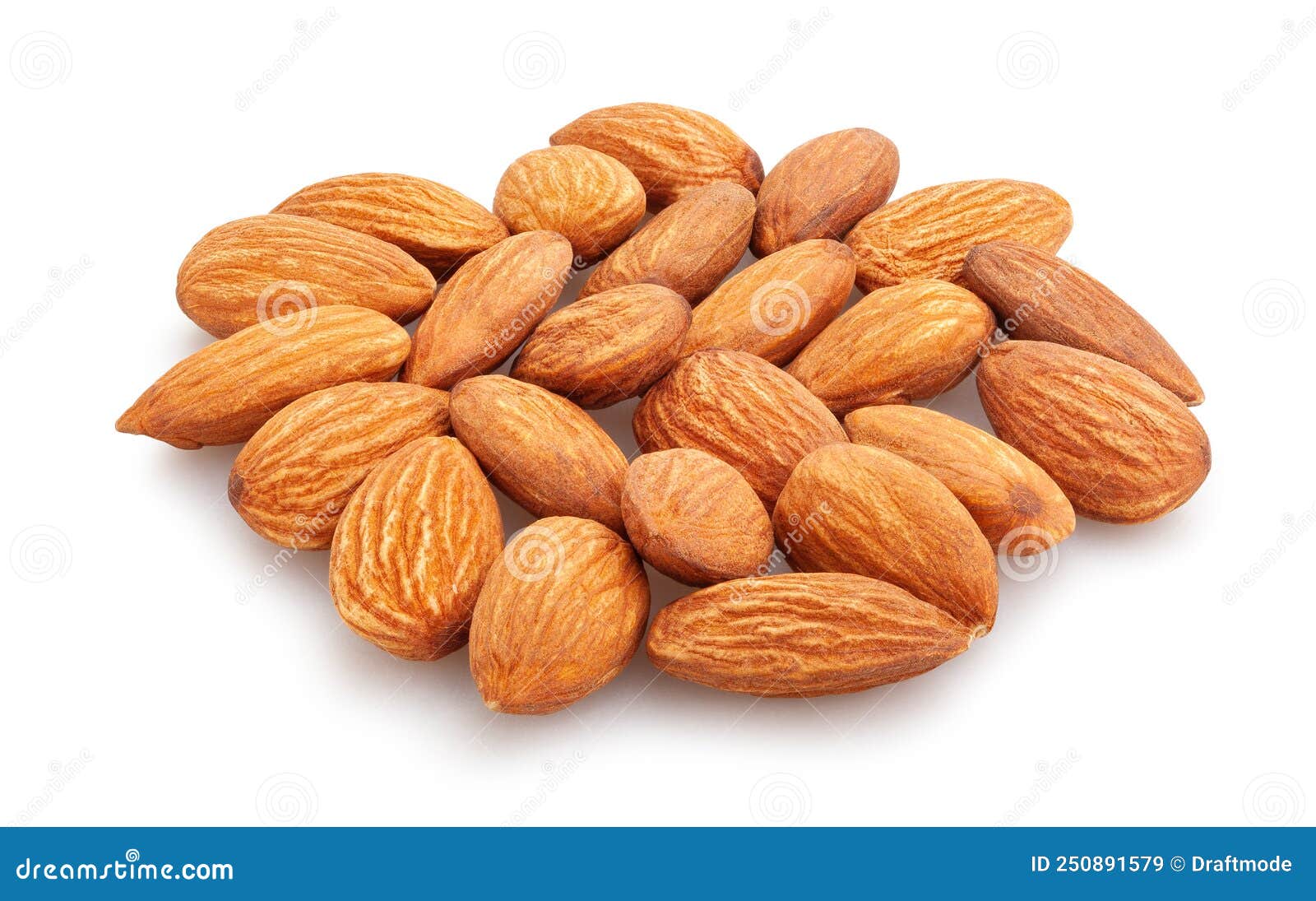 Ruta de almendra aislada imagen de archivo. Imagen de tuerca - 250891579