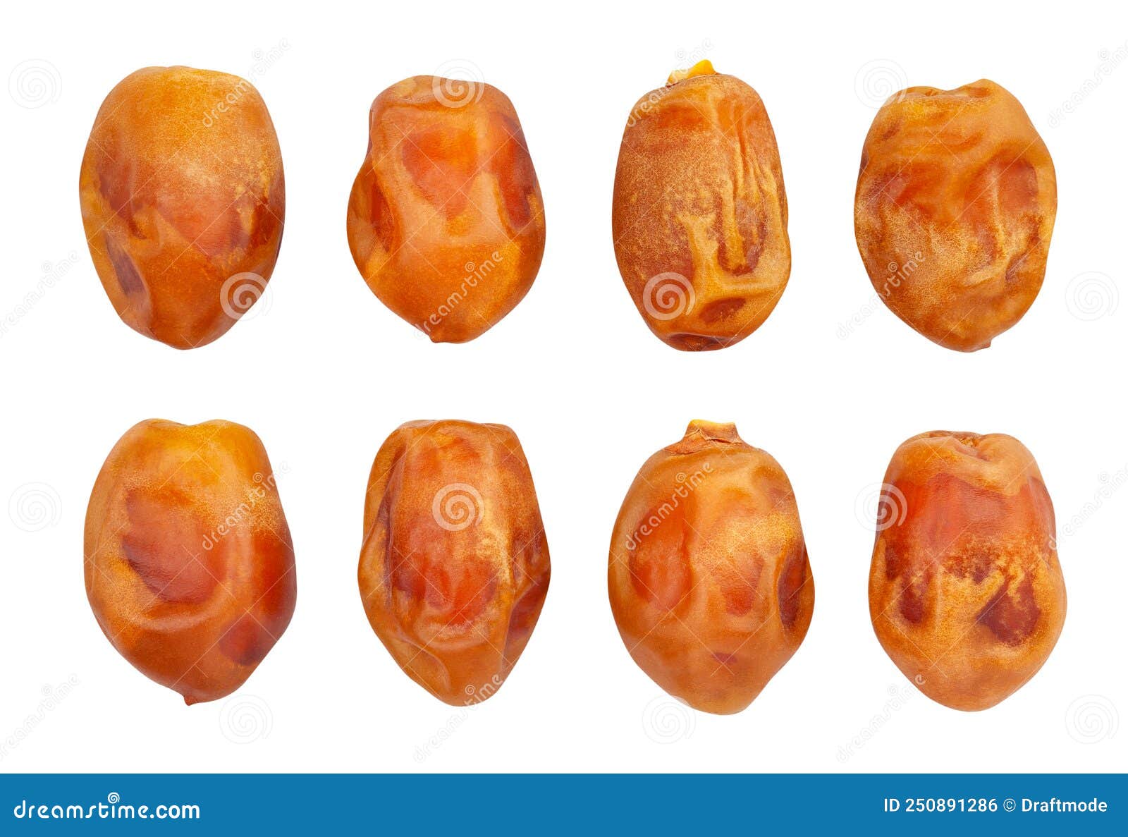 Ruta De Fruta De Fecha Aislada Foto de archivo - Imagen de aislado ...