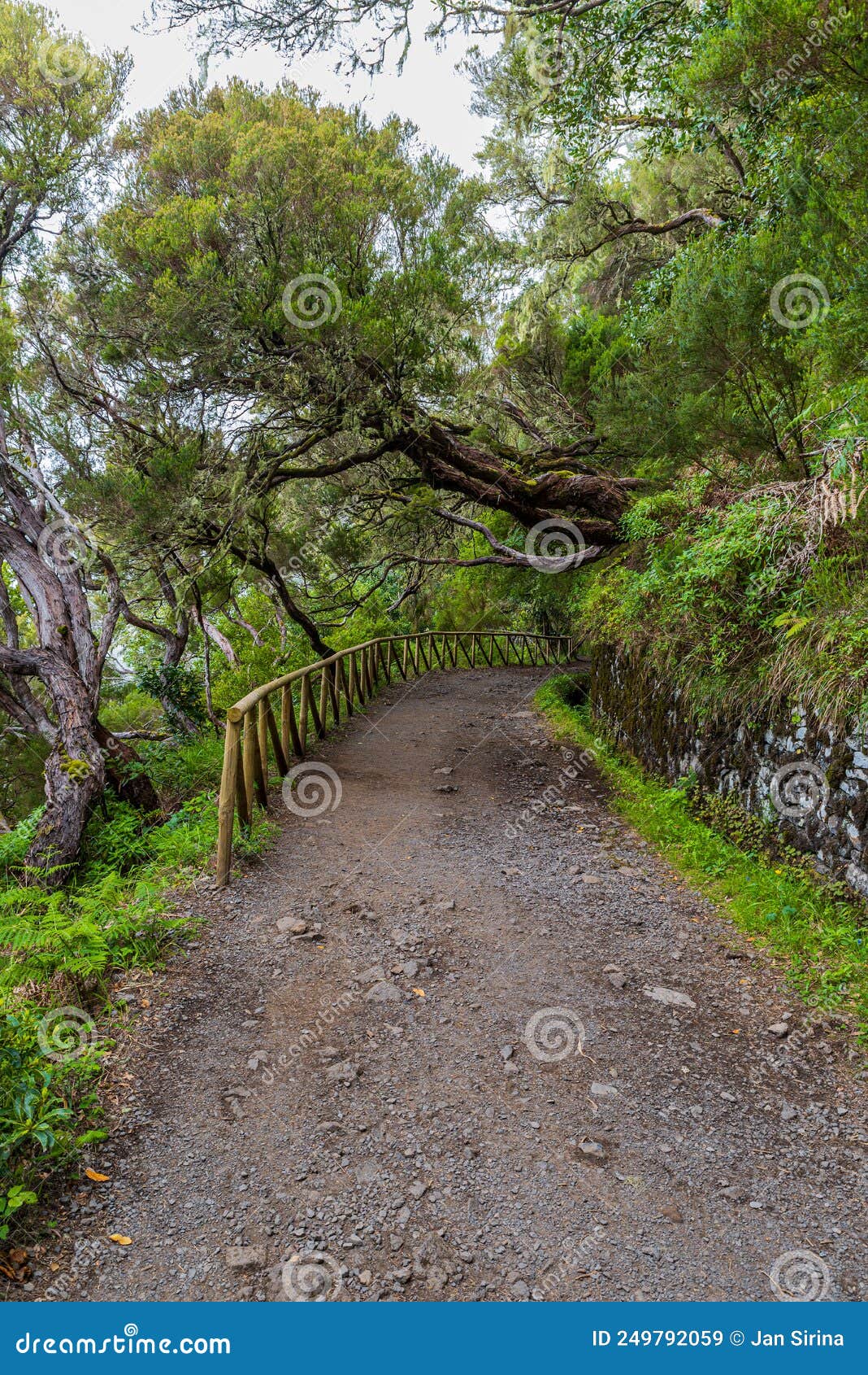 Ruta De Senderismo De Levada Do Risco En Madeira Imagen de archivo ...