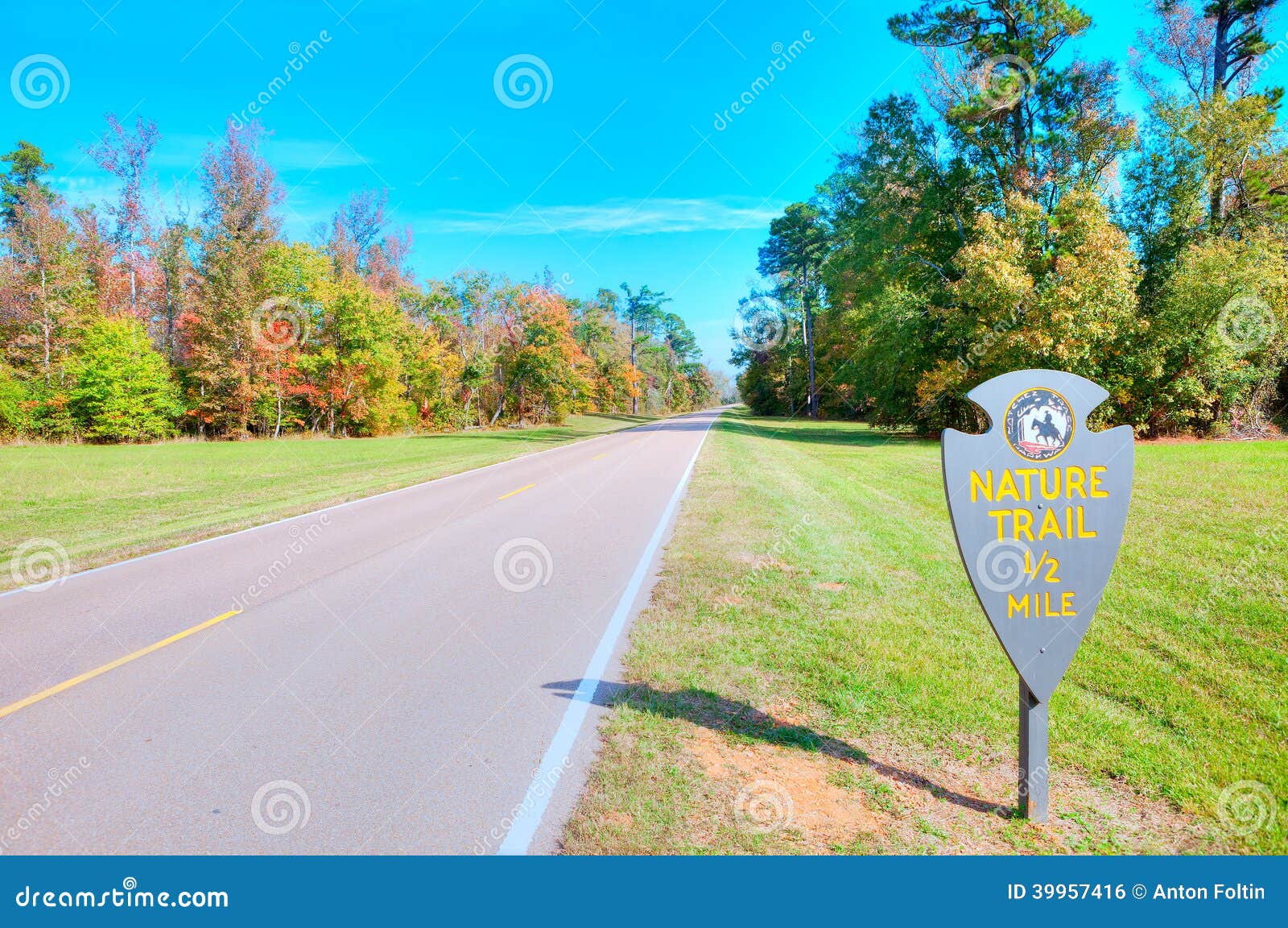 Ruta verde foto de archivo. Imagen de planta, reserva - 39957416