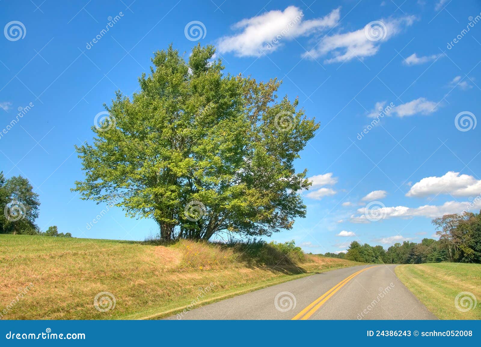 Ruta verde azul de Ridge imagen de archivo. Imagen de carretera - 24386243