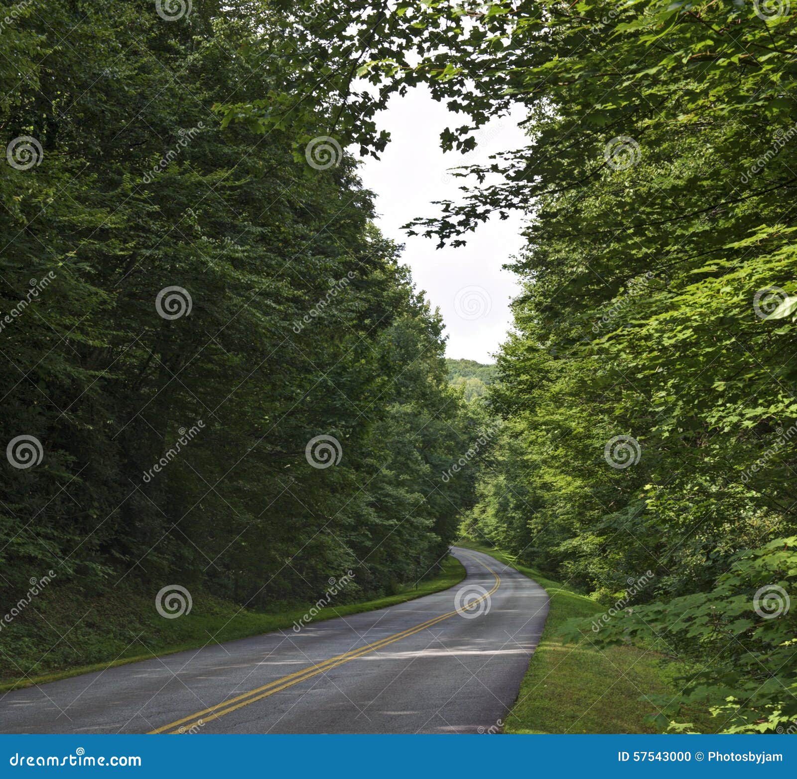 Ruta verde azul de Ridge foto de archivo. Imagen de curva - 57543000