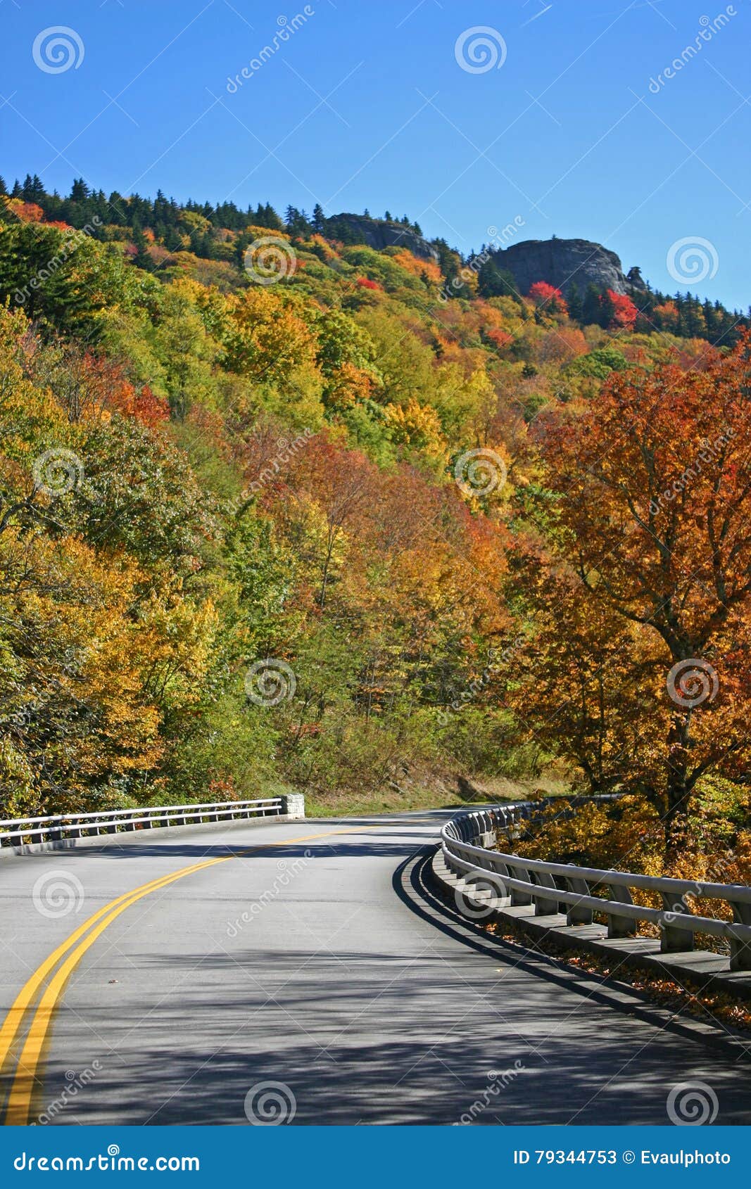 Ruta Verde Que Curva El Puente Imagen de archivo - Imagen de ladera ...