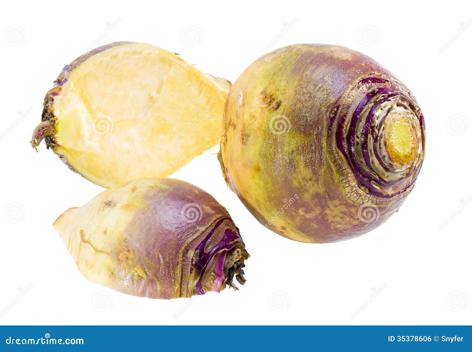 Rutabaga root. stock photo. Image of organic, root, vegetable - 35378606