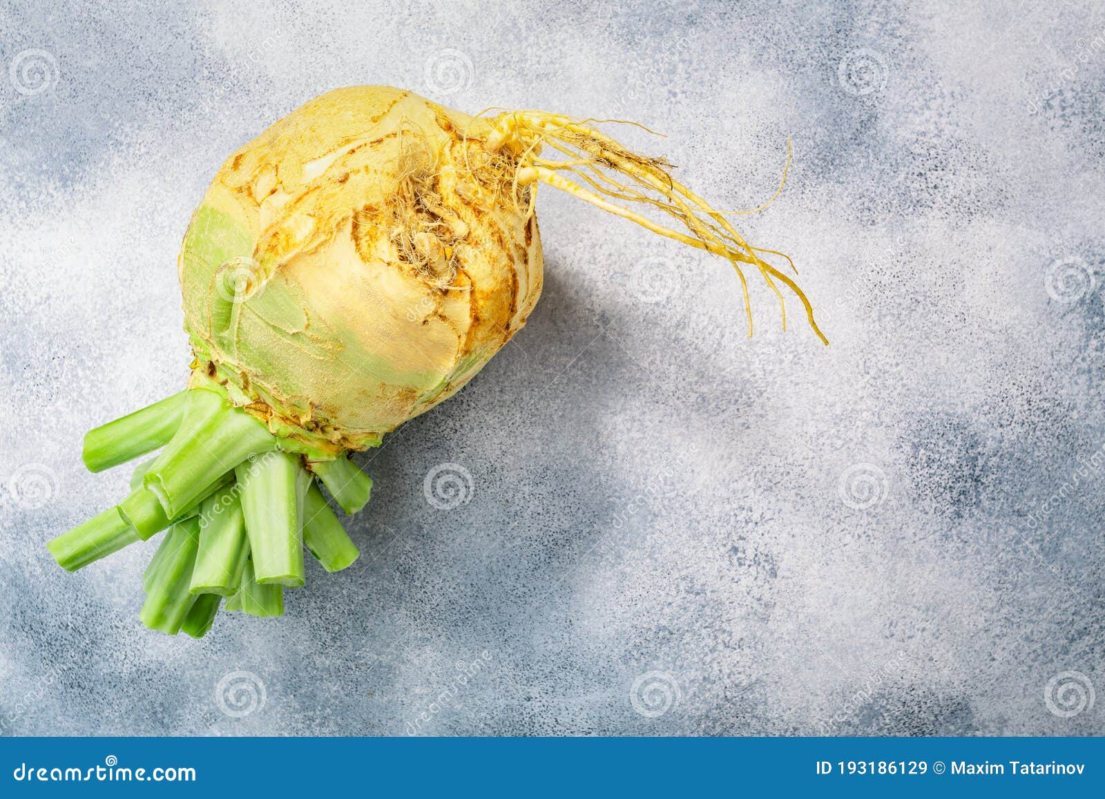 Rutabaga or Swede Root Vegetable Atop Grey Concrete Backdrop, Top View ...
