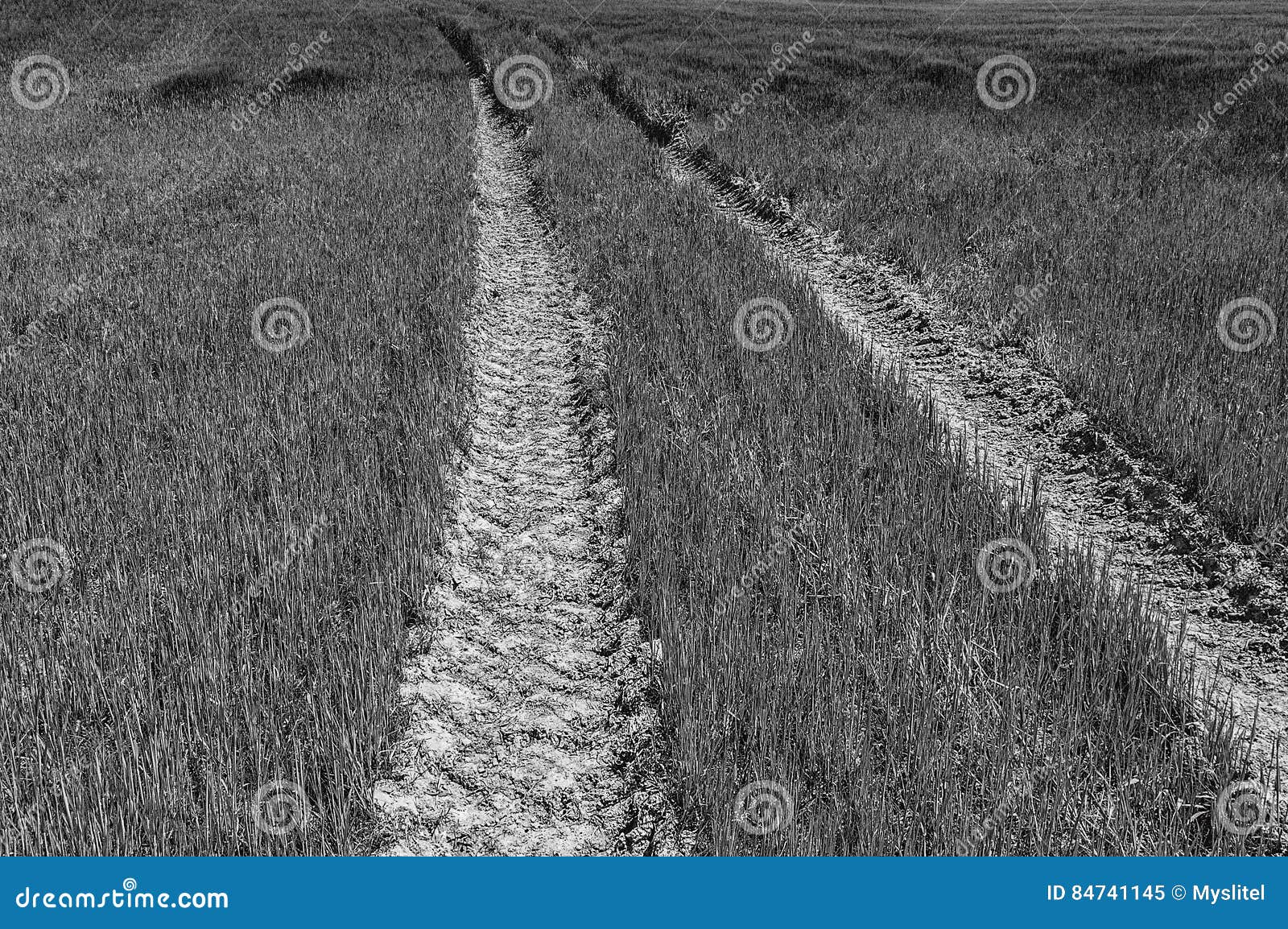 Ruts in a field stock image. Image of land, summer, sunny - 84741145