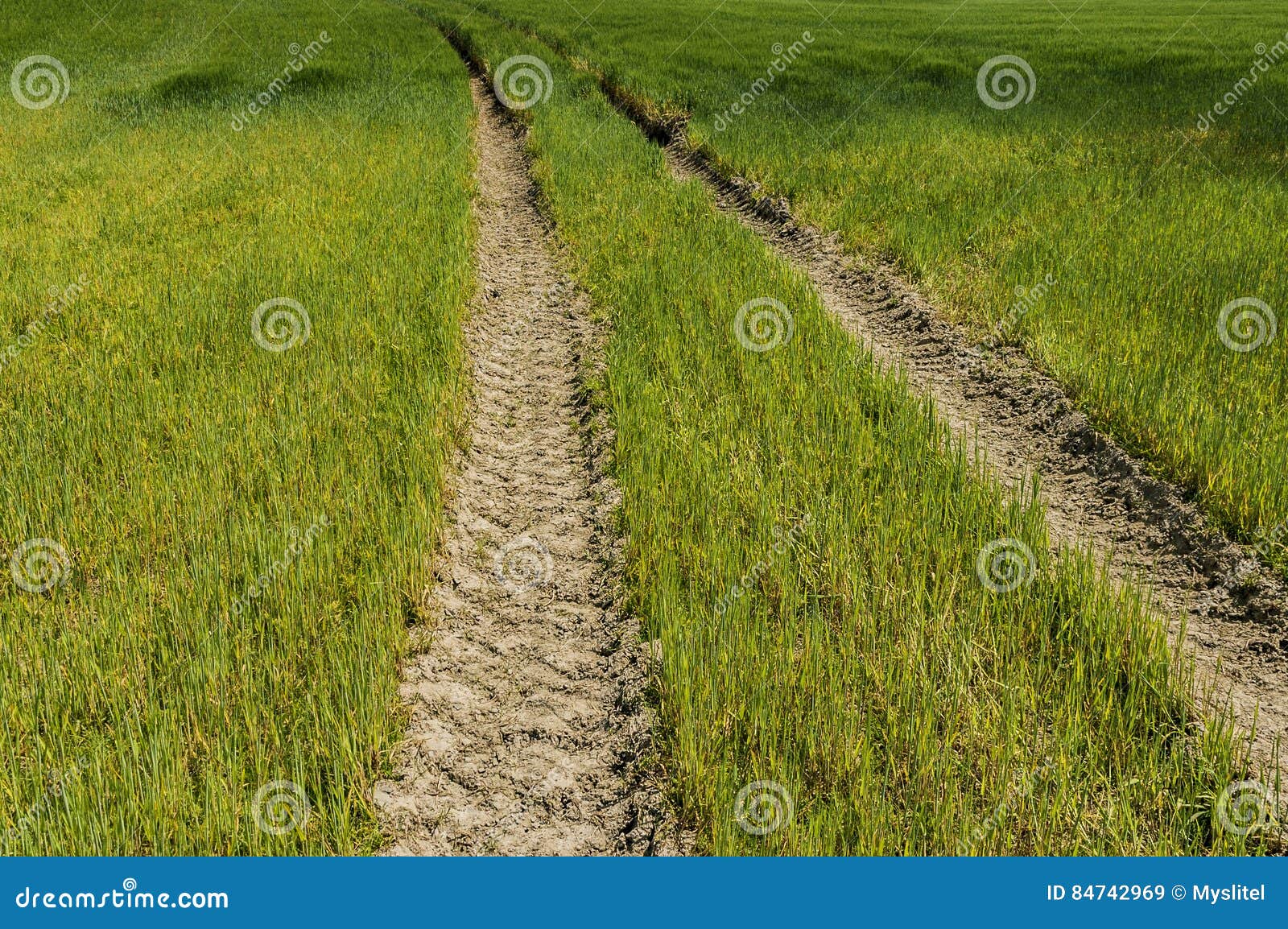 Ruts in a field stock image. Image of season, meadow - 84742969