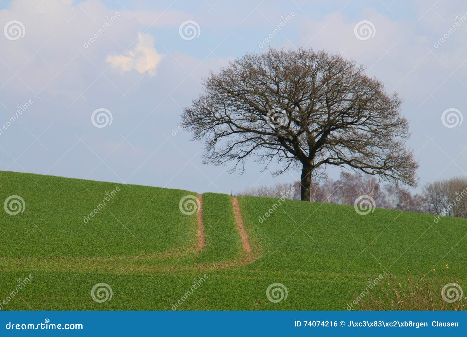 Ruts on green field stock photo. Image of tree, lovely - 74074216