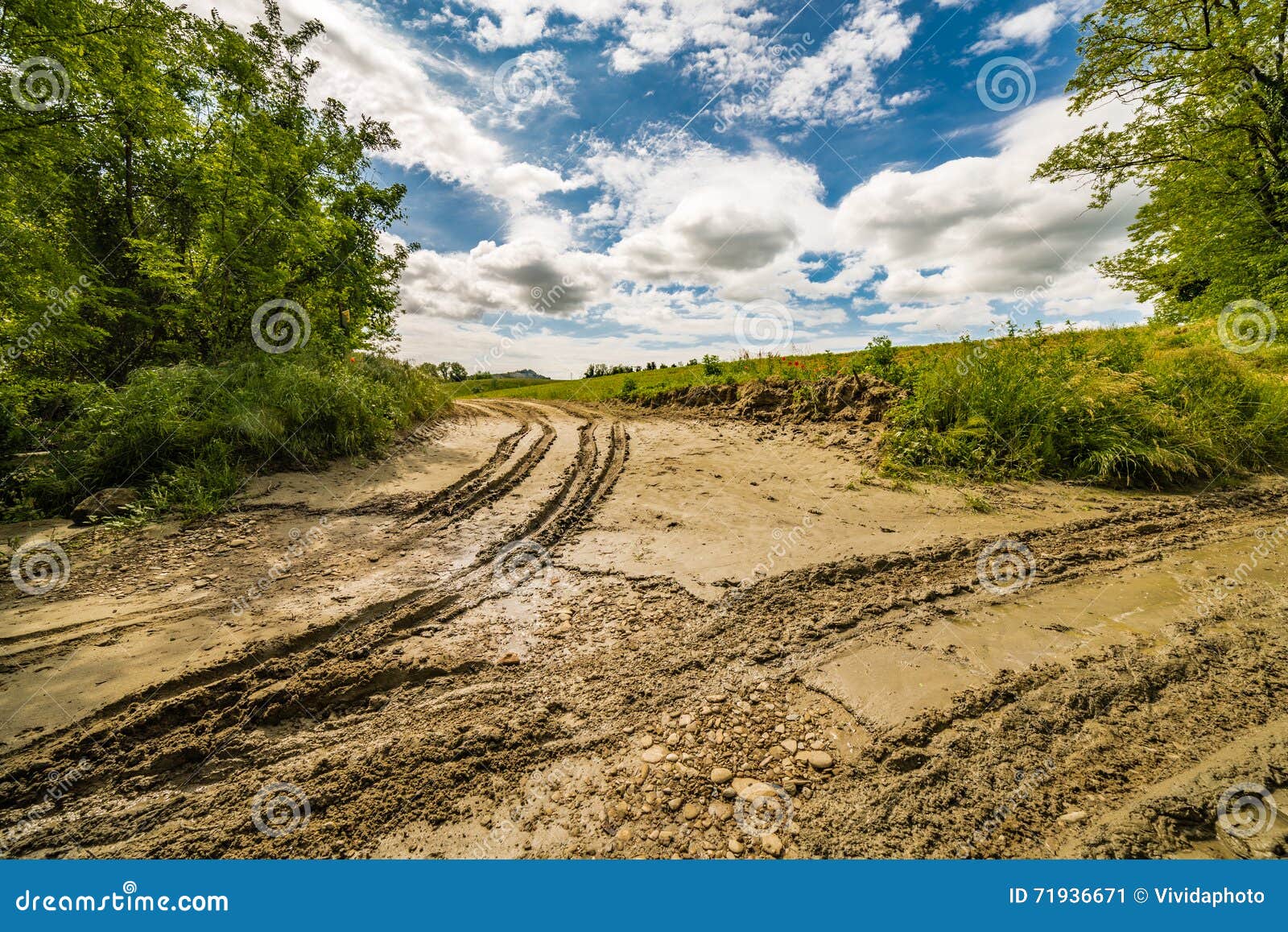 Ruts in the mud by tractor stock image. Image of italy - 71936671