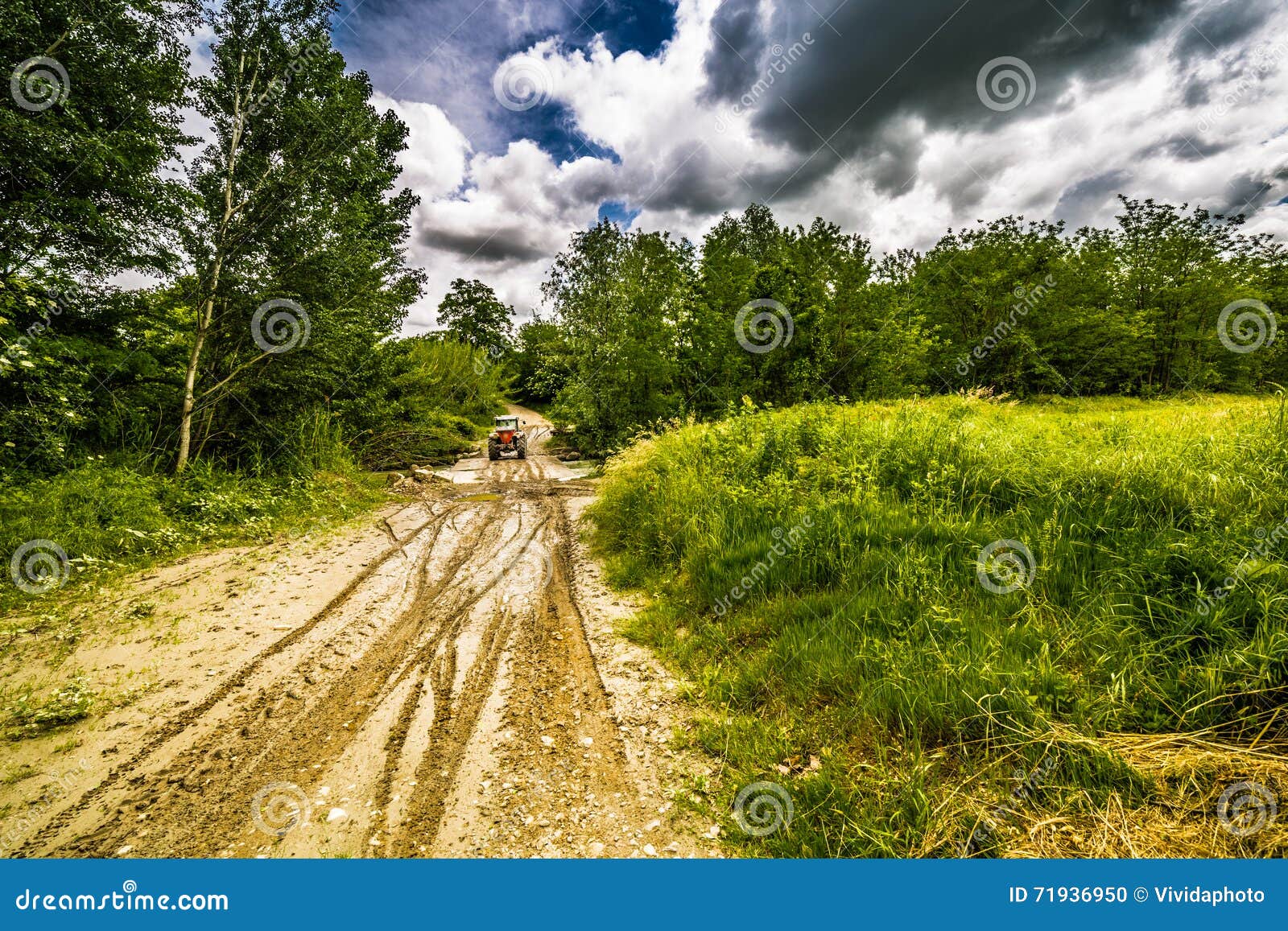 Ruts in the mud by tractor stock photo. Image of trees - 71936950