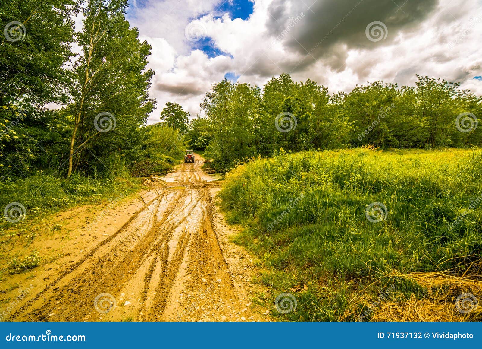 Ruts in the mud by tractor stock photo. Image of ruts - 71937132