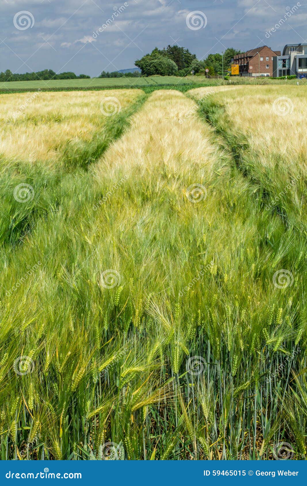 The ruts of the tractor stock image. Image of plain, scenics - 59465015