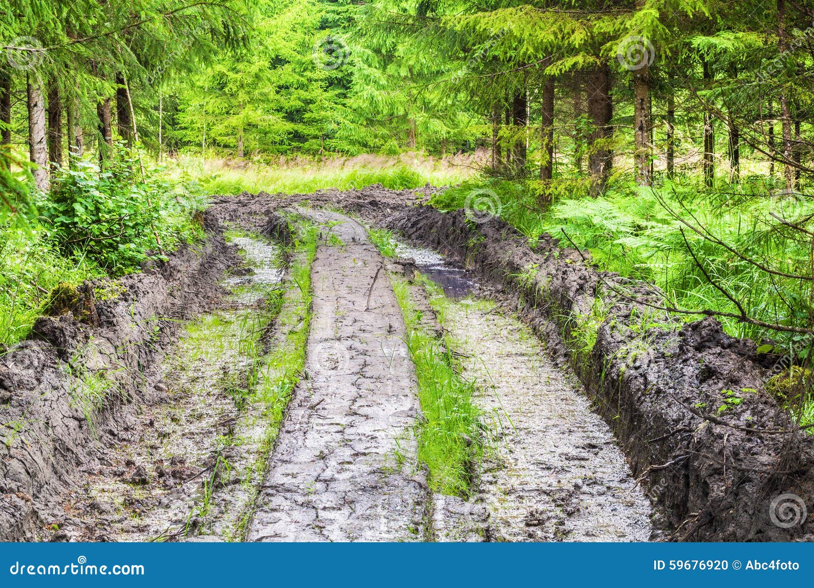 Rutted, Filthy Road through the Forest Stock Photo - Image of material ...