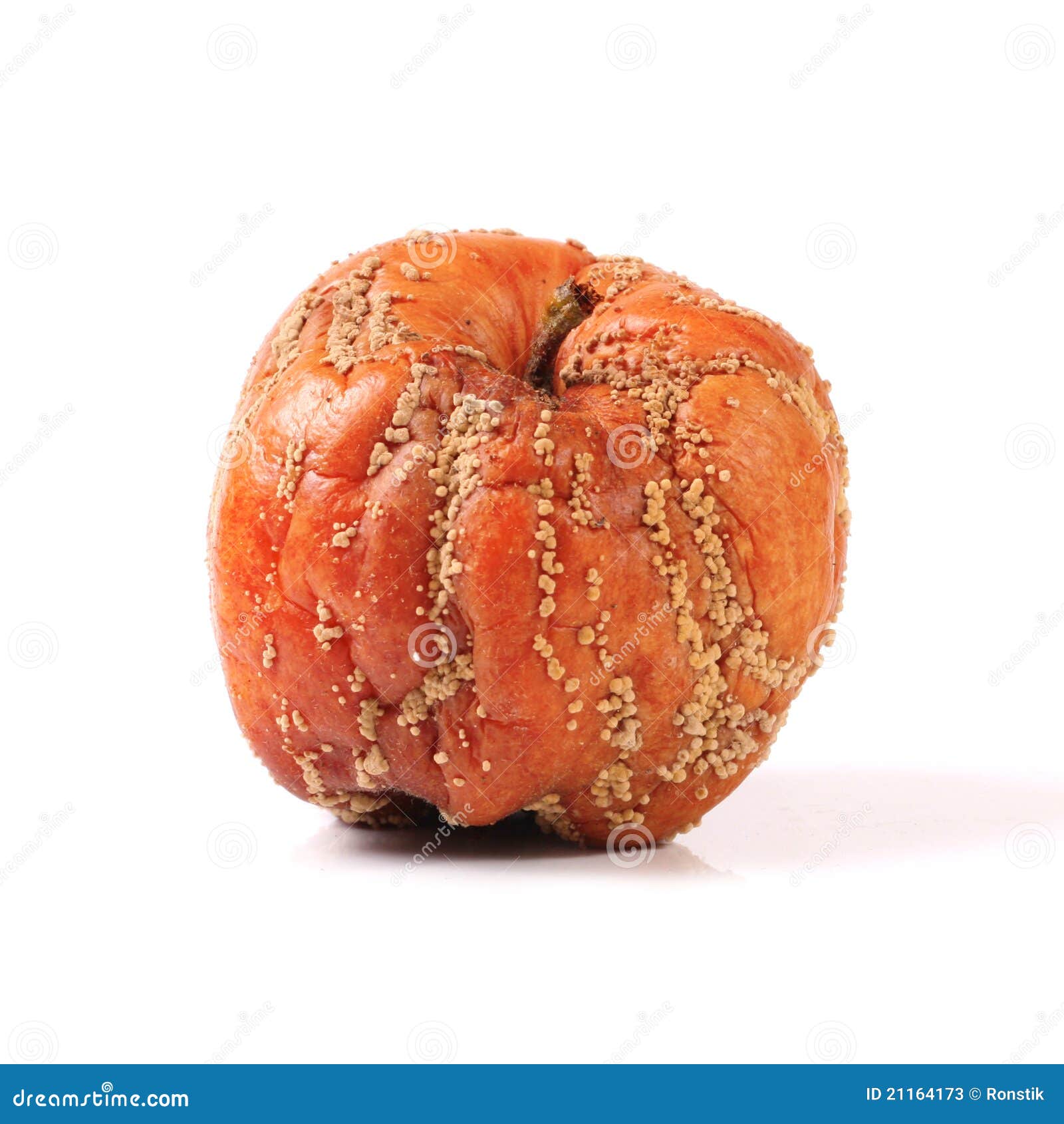 Ruttet äpple fotografering för bildbyråer. Bild av stänga - 21164173