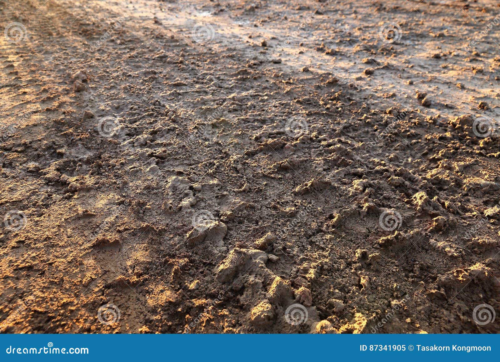 Rutty Road and Mud Under Sunlight Stock Image - Image of stain, soil ...