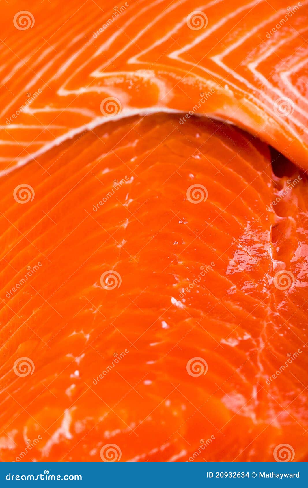 Ruwe Verse Zalm stock foto. Image of vissen, diner, rood - 20932634