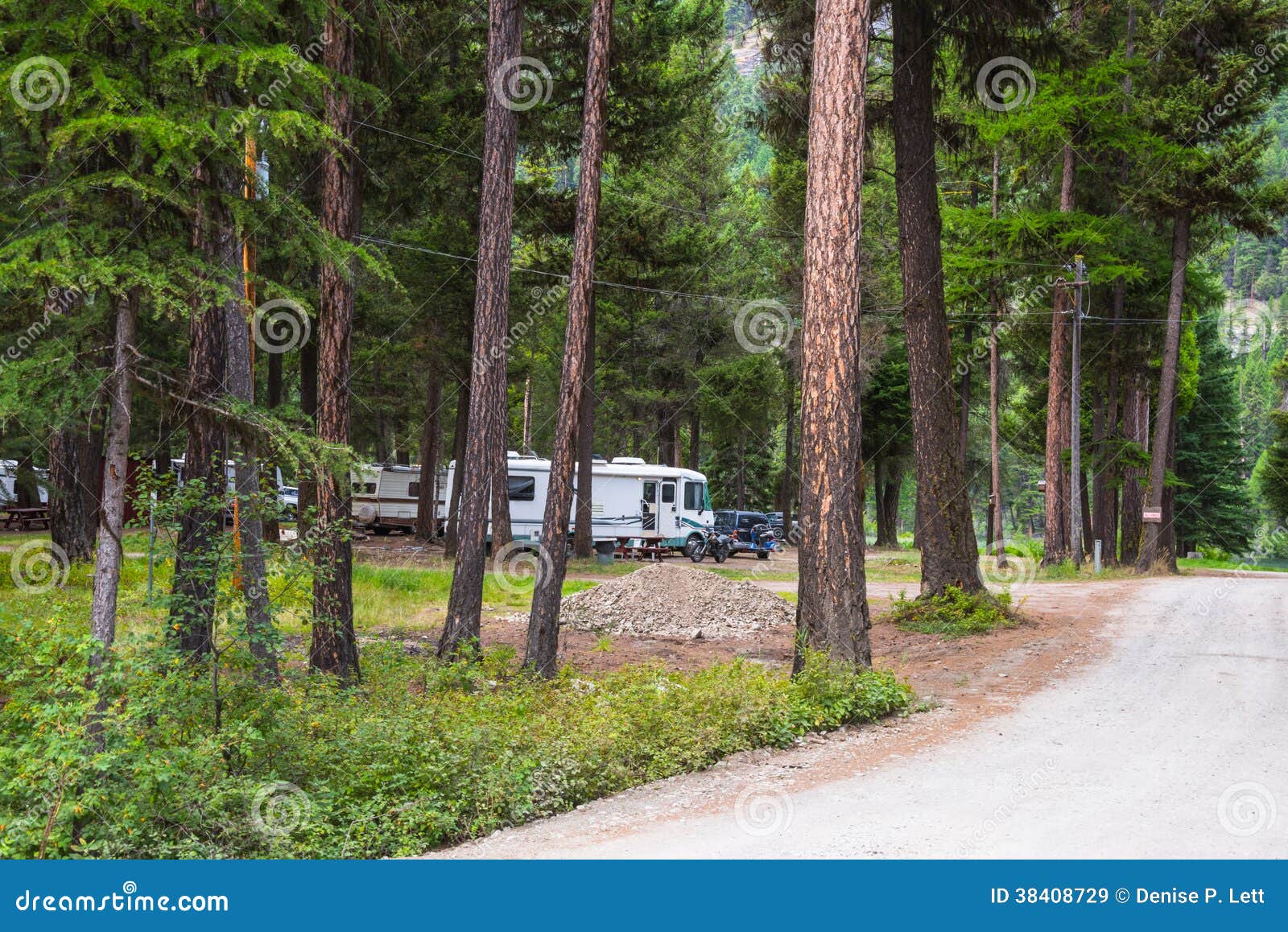 RV Camping in Wooded Campground Stock Image - Image of america, luxury ...