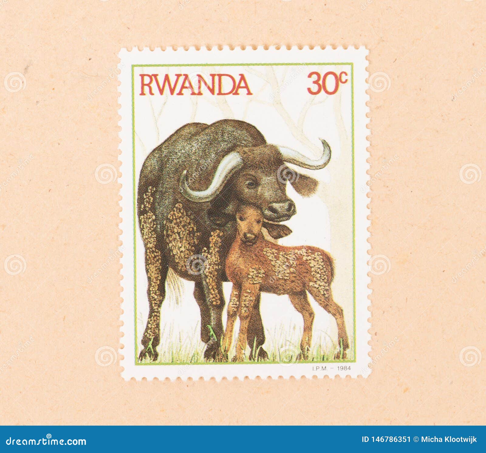 A Stamp Printed in Rwanda Shows a Waterbuffalo with a Young, Circa 1984 ...