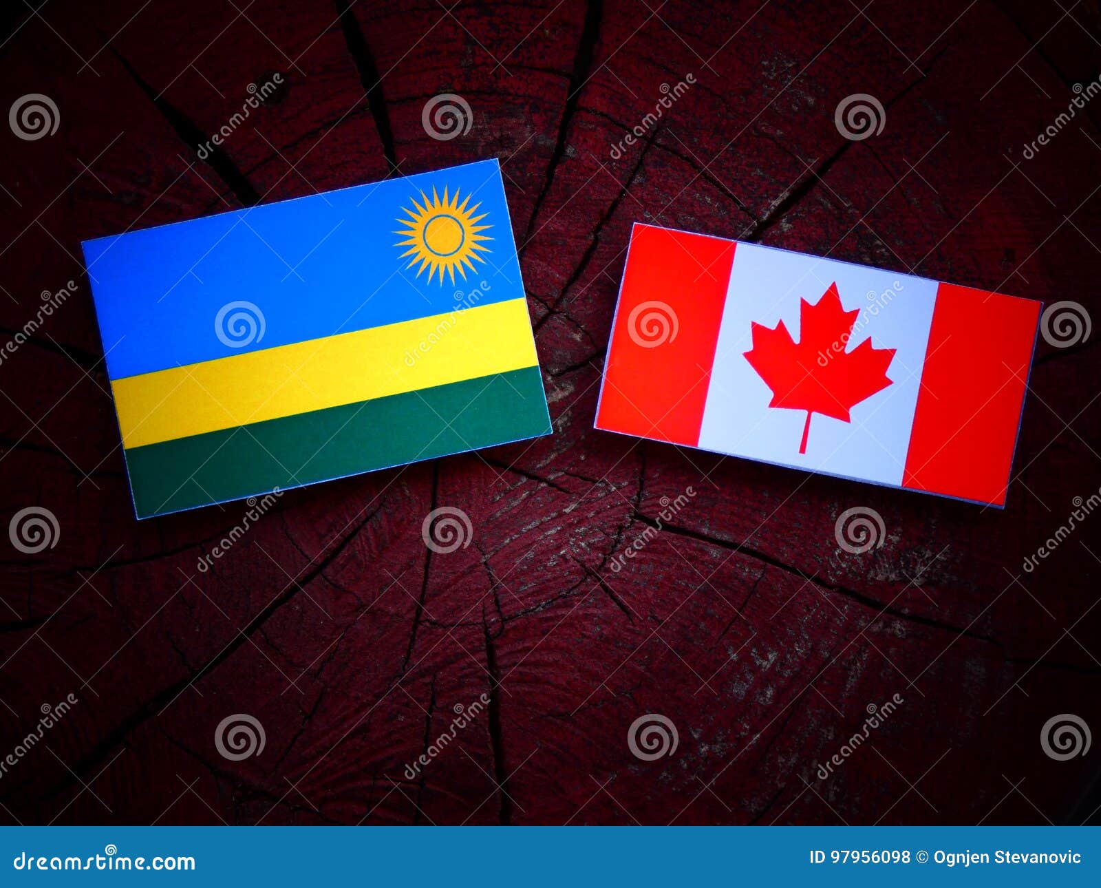 Rwanda Flag with Canadian Flag on a Tree Stump Isolated Stock Photo ...