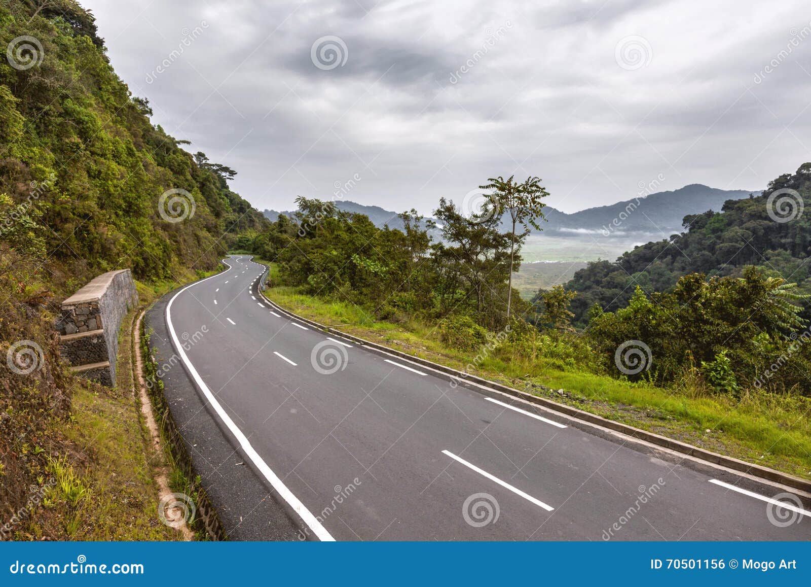 Rwanda Rainforests and the Road. Stock Photo - Image of tree, bamboo ...