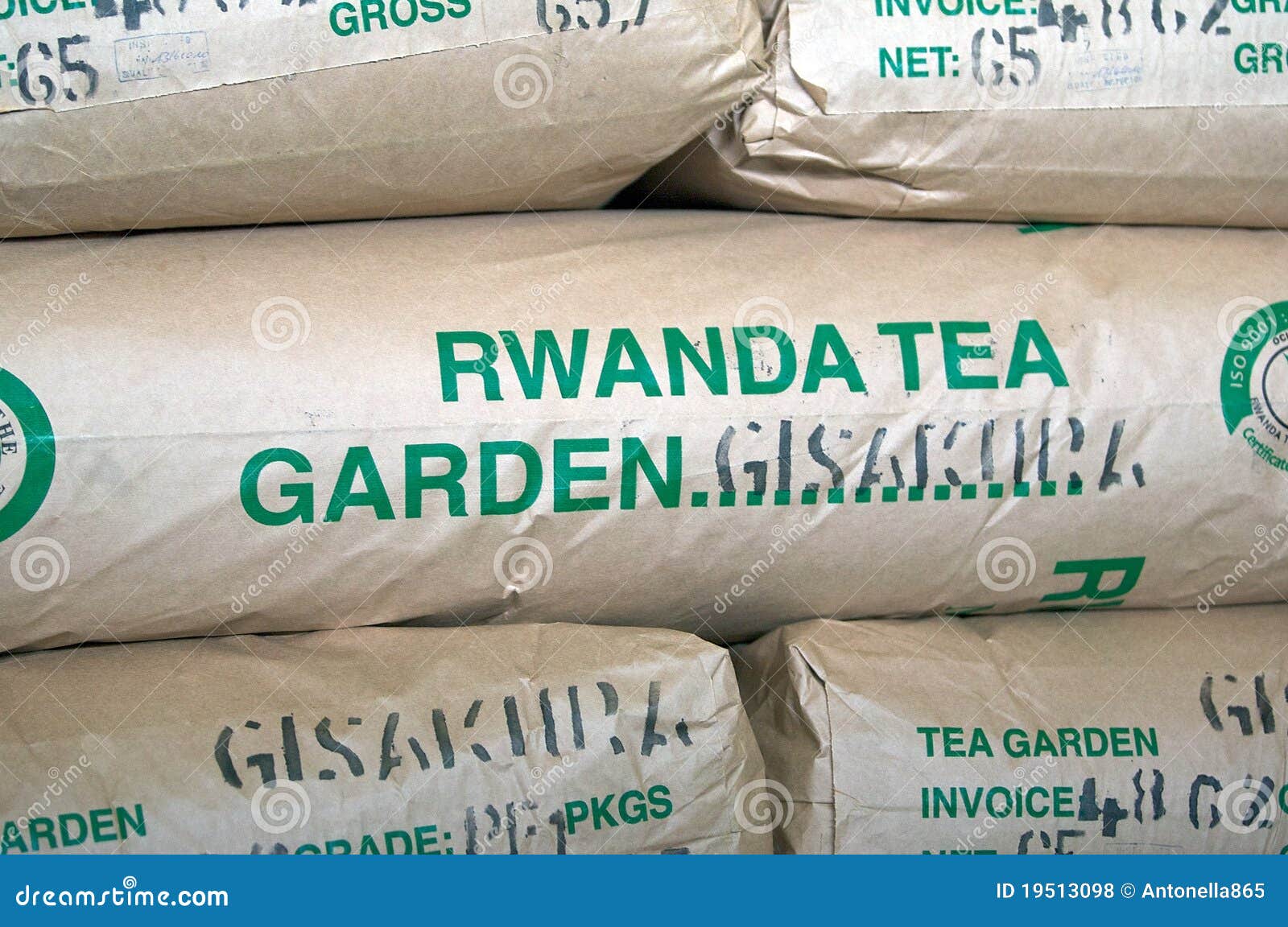 Rwanda tea editorial stock photo. Image of agricolture - 19513098