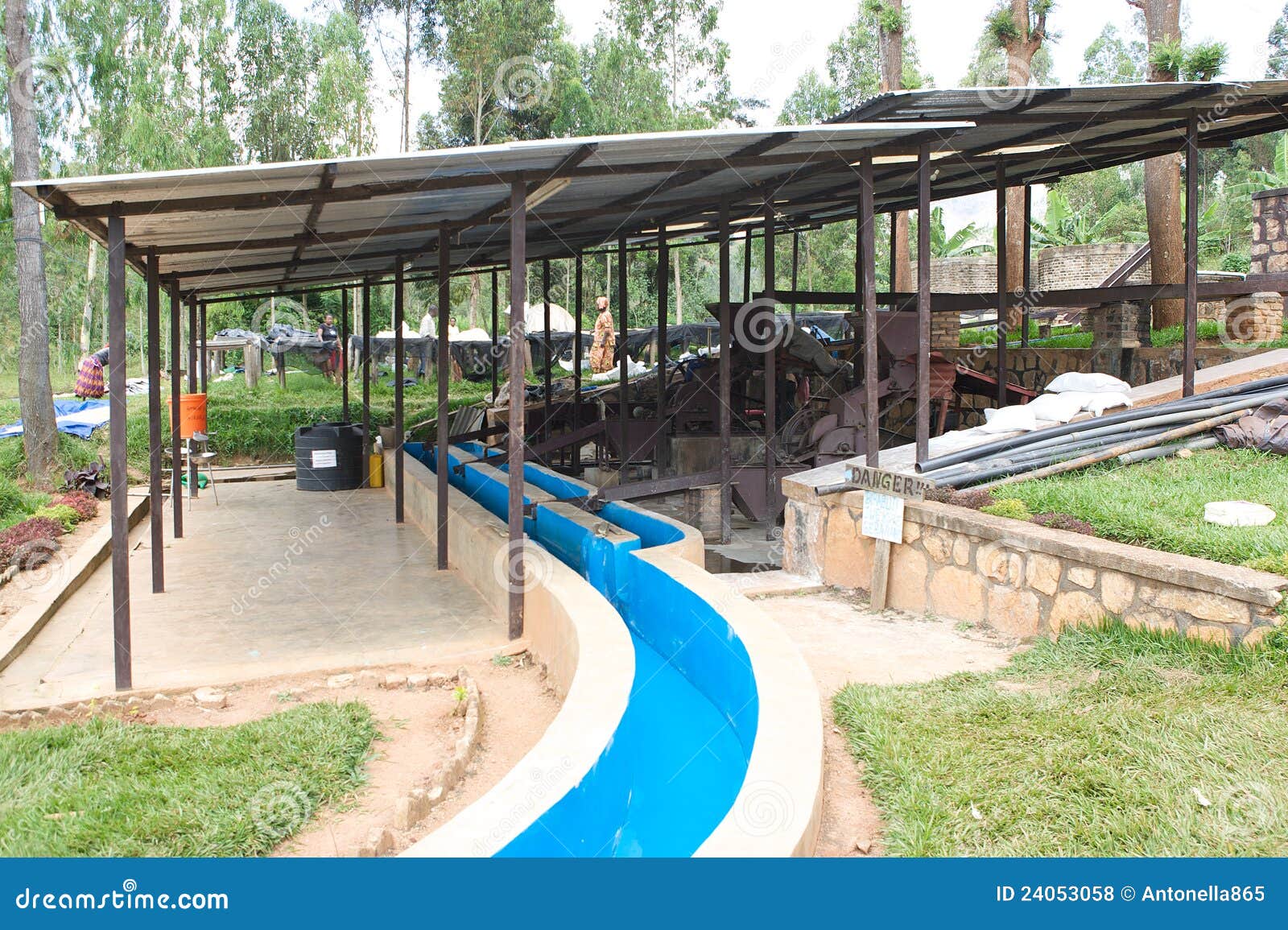 Rwandan Coffee Washing and Dry Station Editorial Stock Photo - Image of ...