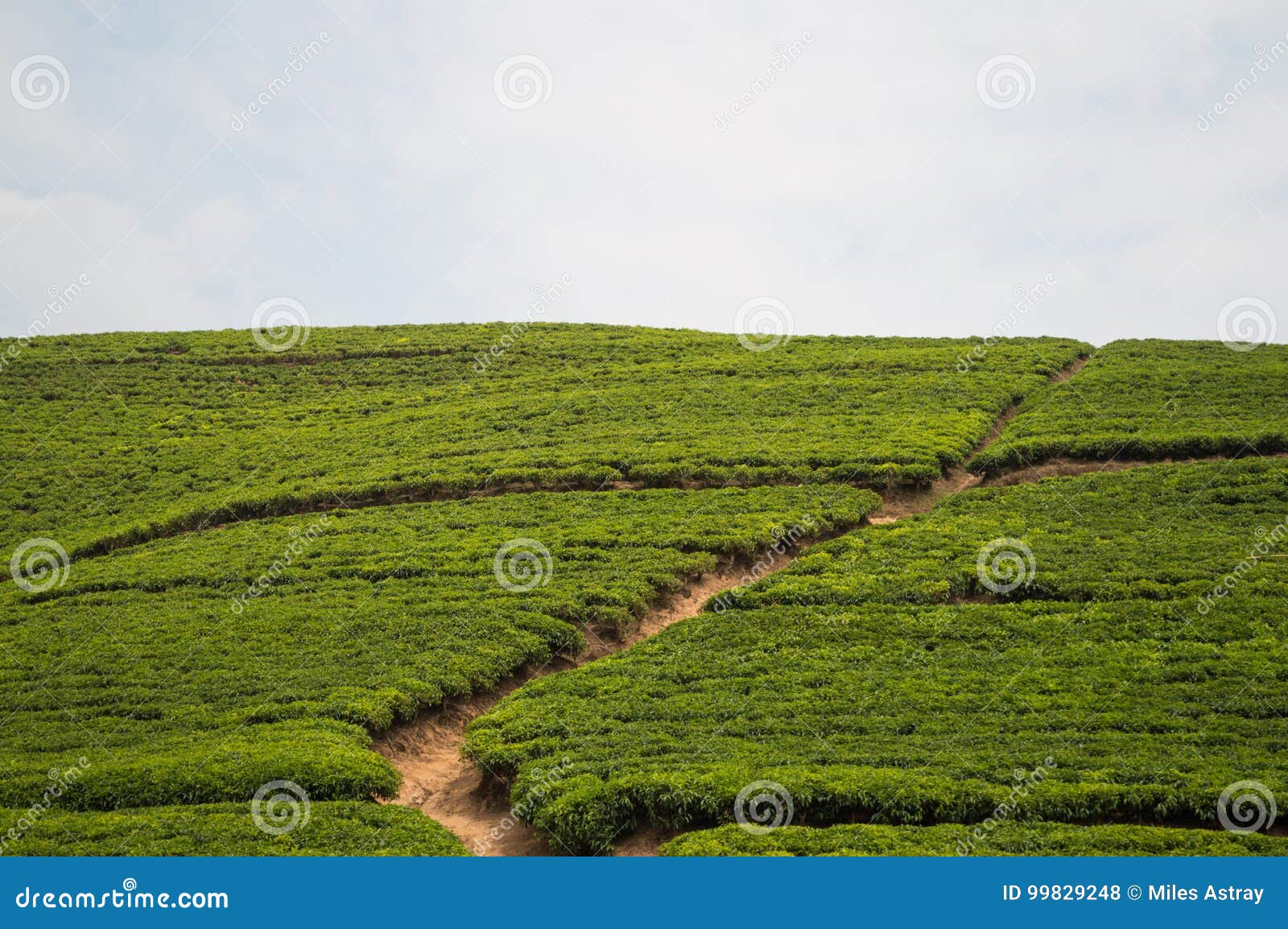 Rural Rwandan Village, Lake Kivu, Kibuye, Rwanda Stock Photography ...