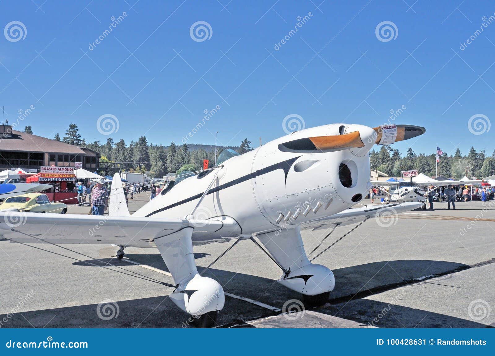 Ryan Experimental Airplane editorial photo. Image of lake - 100428631