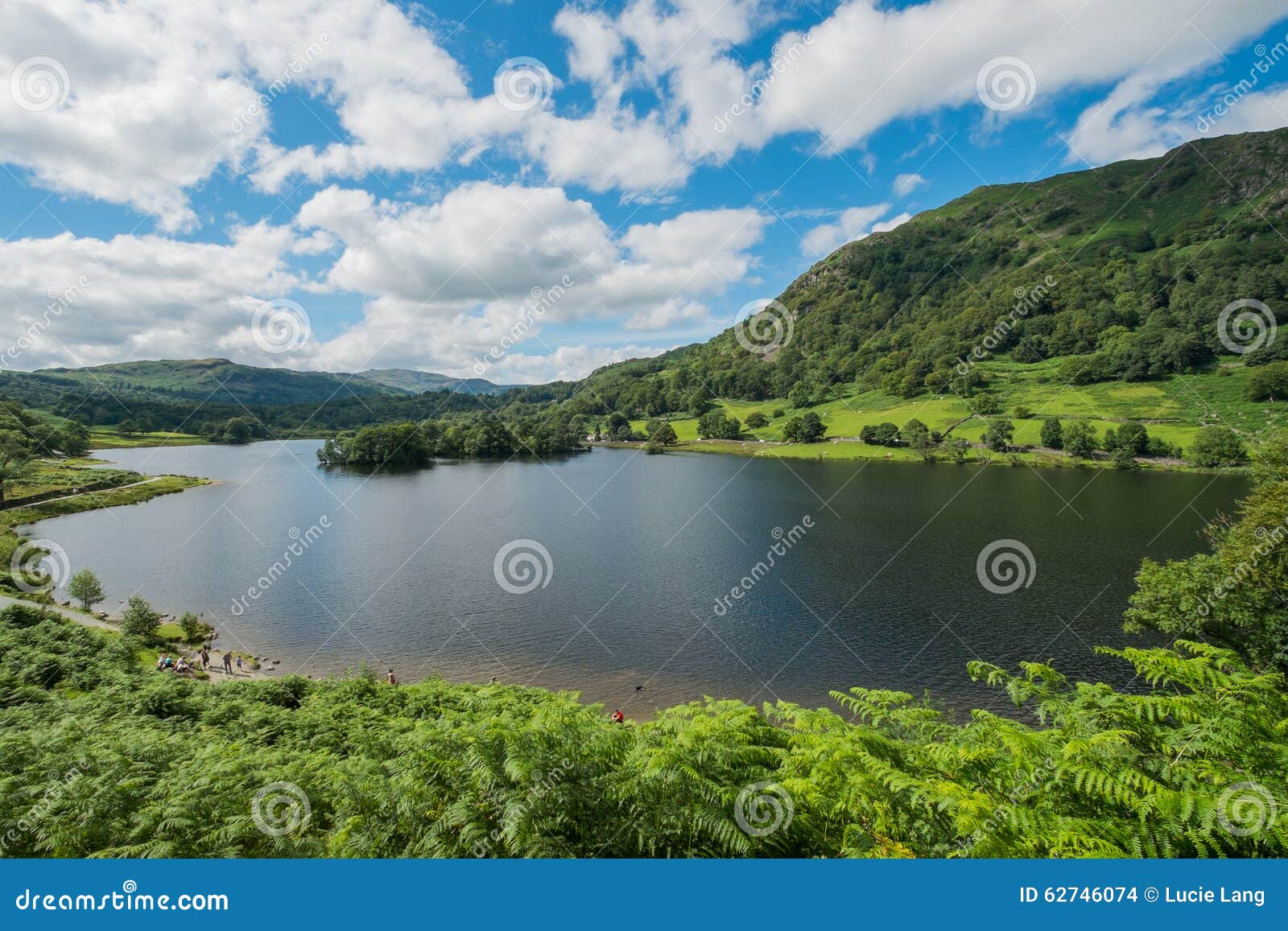 Rydal Water in the Lake District. Stock Photo - Image of cumbria, lake ...