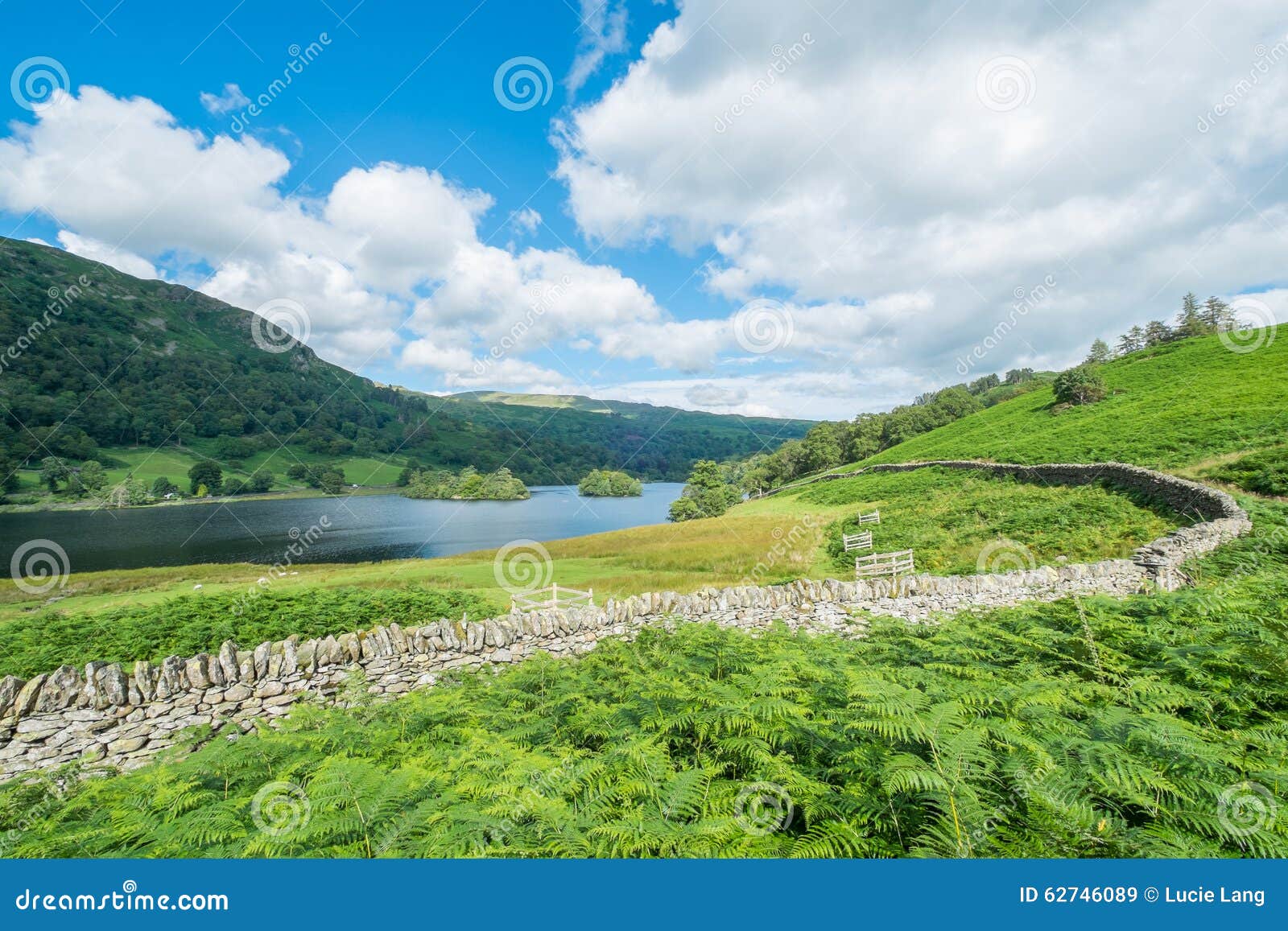 Rydal Water in the Lake District. Stock Image - Image of park, lake ...