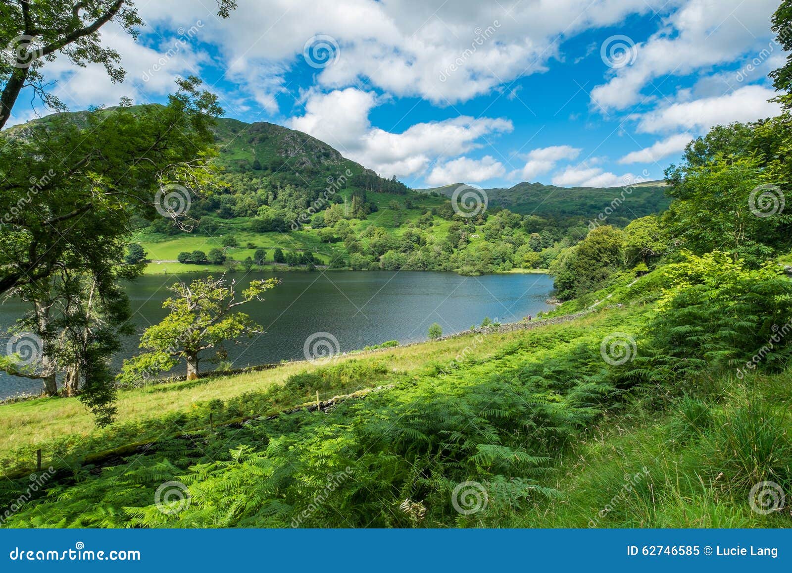 Rydal Water in the Lake District. Stock Image - Image of england ...
