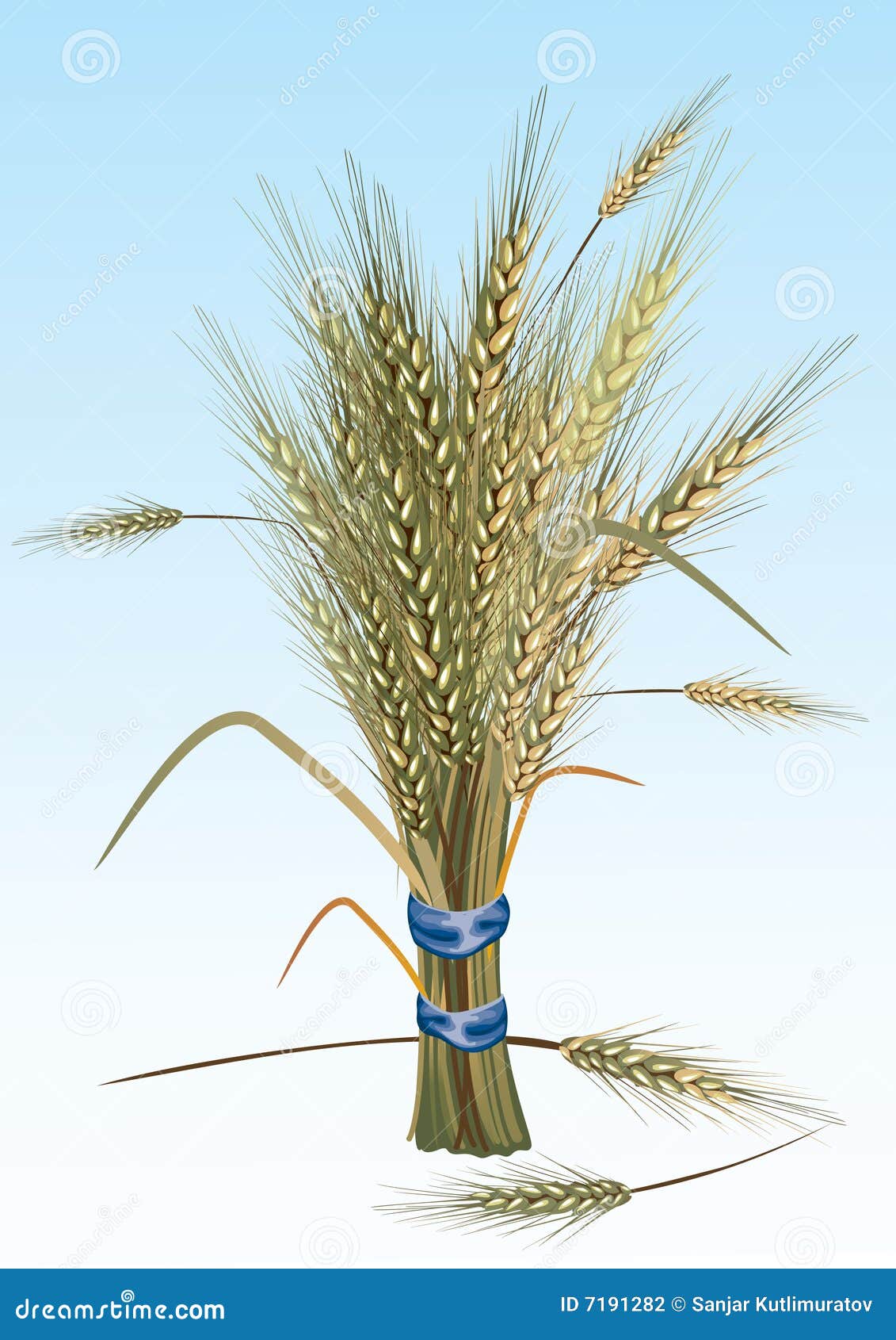 Rye stock vector. Illustration of organic, flour, painting - 7191282