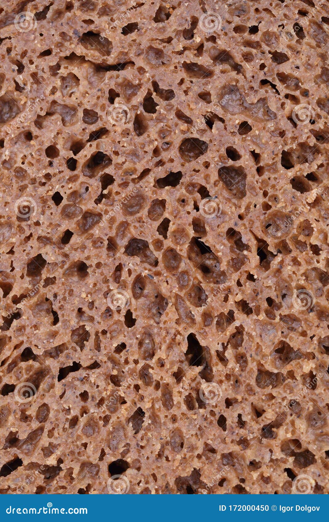 Rye bread stock photo. Image of traditional, close, sliced - 172000450