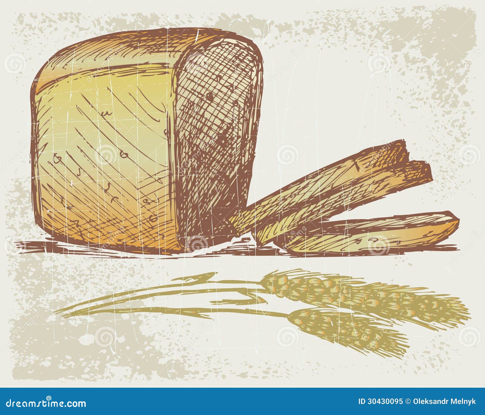 Rye Bread Cartoon Vector | CartoonDealer.com #30430095