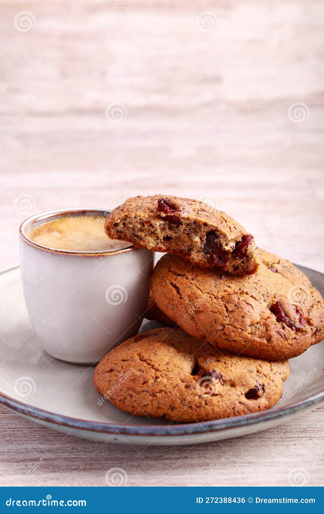Rye, Cranberry, Chocolate Chunks Cookies Stock Photo - Image of ...