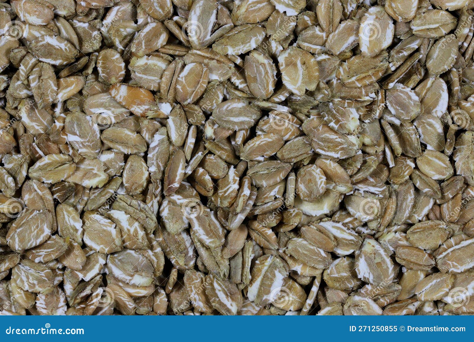 Rye flakes stock image. Image of grain, food, background - 271250855