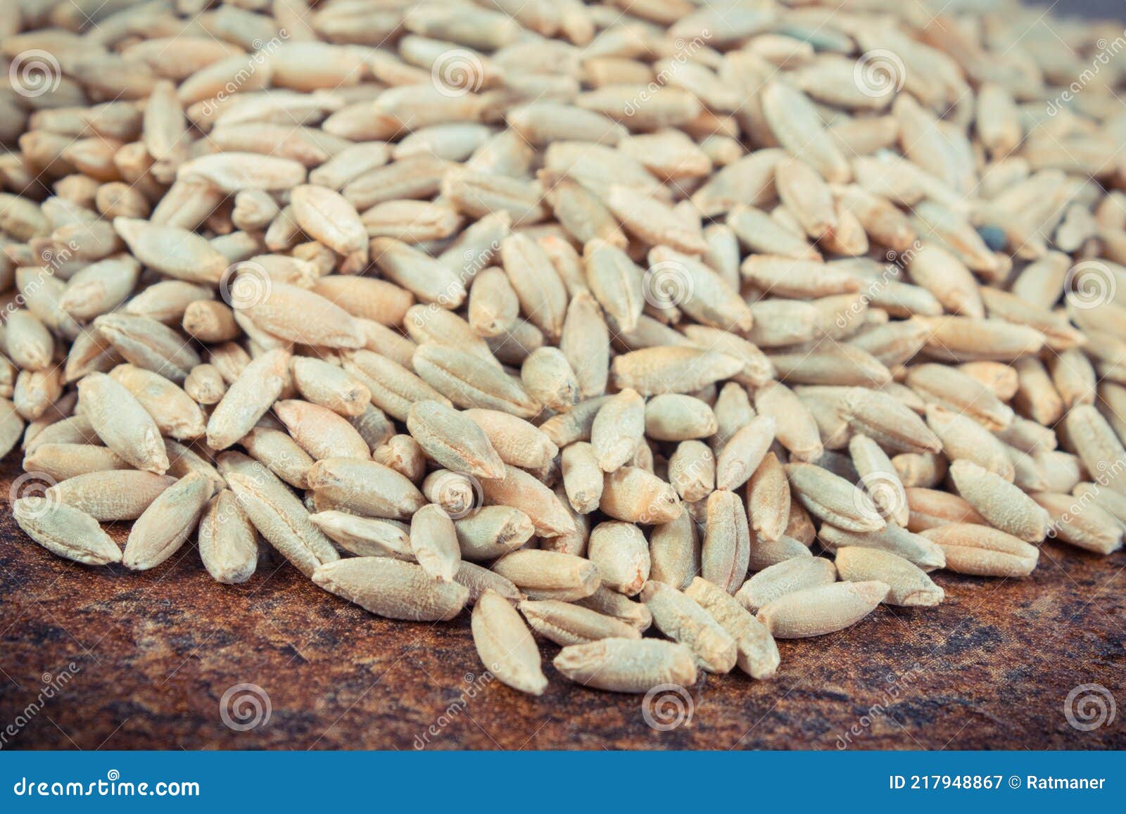 Rye Grain on Old Rustic Background. Agriculture Stock Image - Image of ...