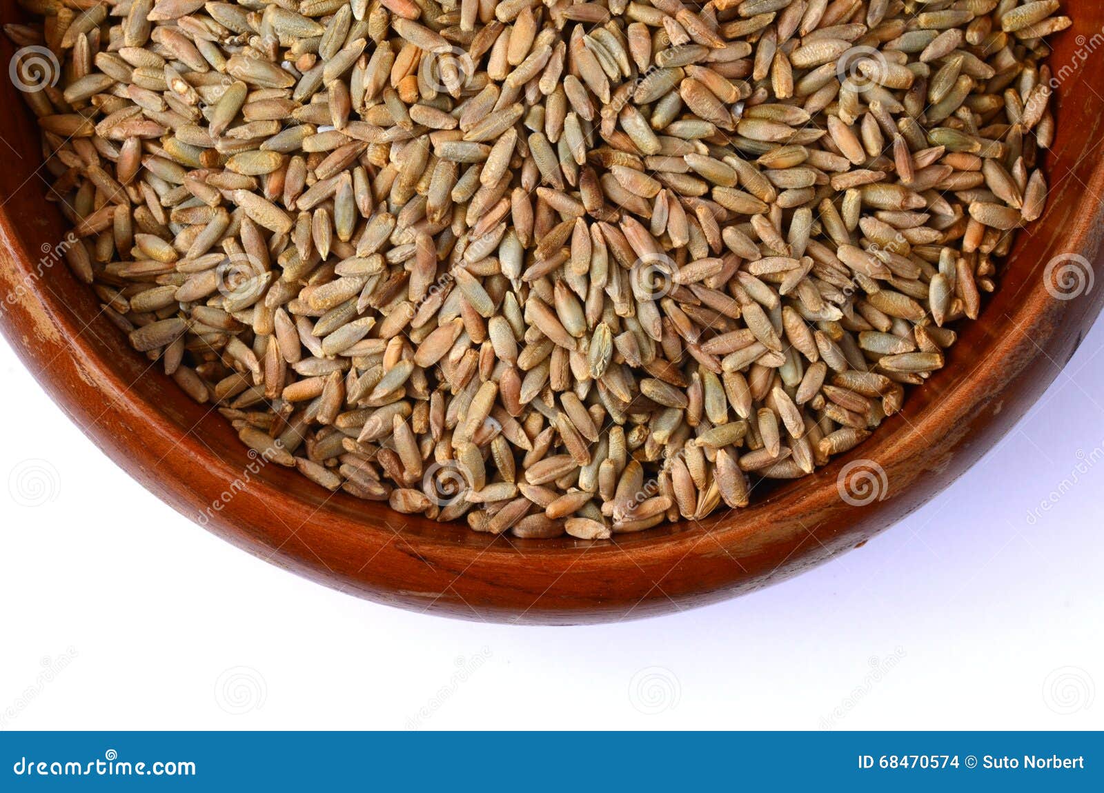 Rye grain seeds stock photo. Image of heap, cooking, natural - 68470574
