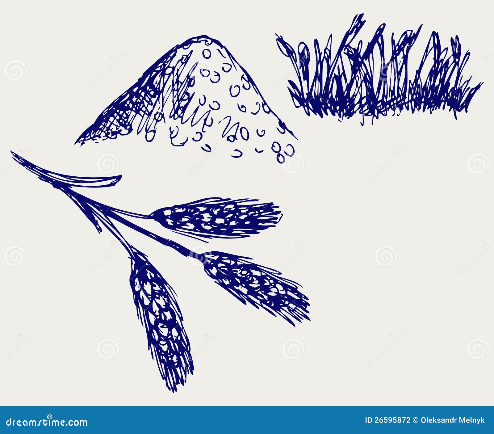 Rye sketch stock vector. Illustration of design, artistic - 26595872