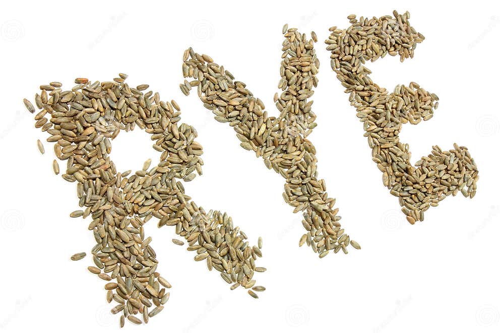Rye stock photo. Image of lettering, harvest, commodity - 68841258