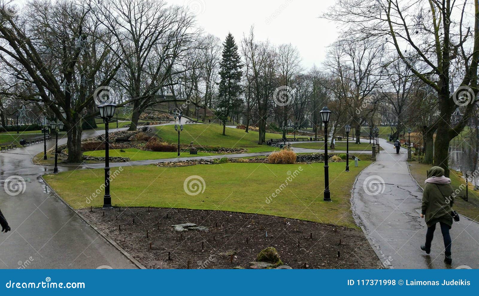 Ryga park stock photo. Image of view, trees, park, central - 117371998