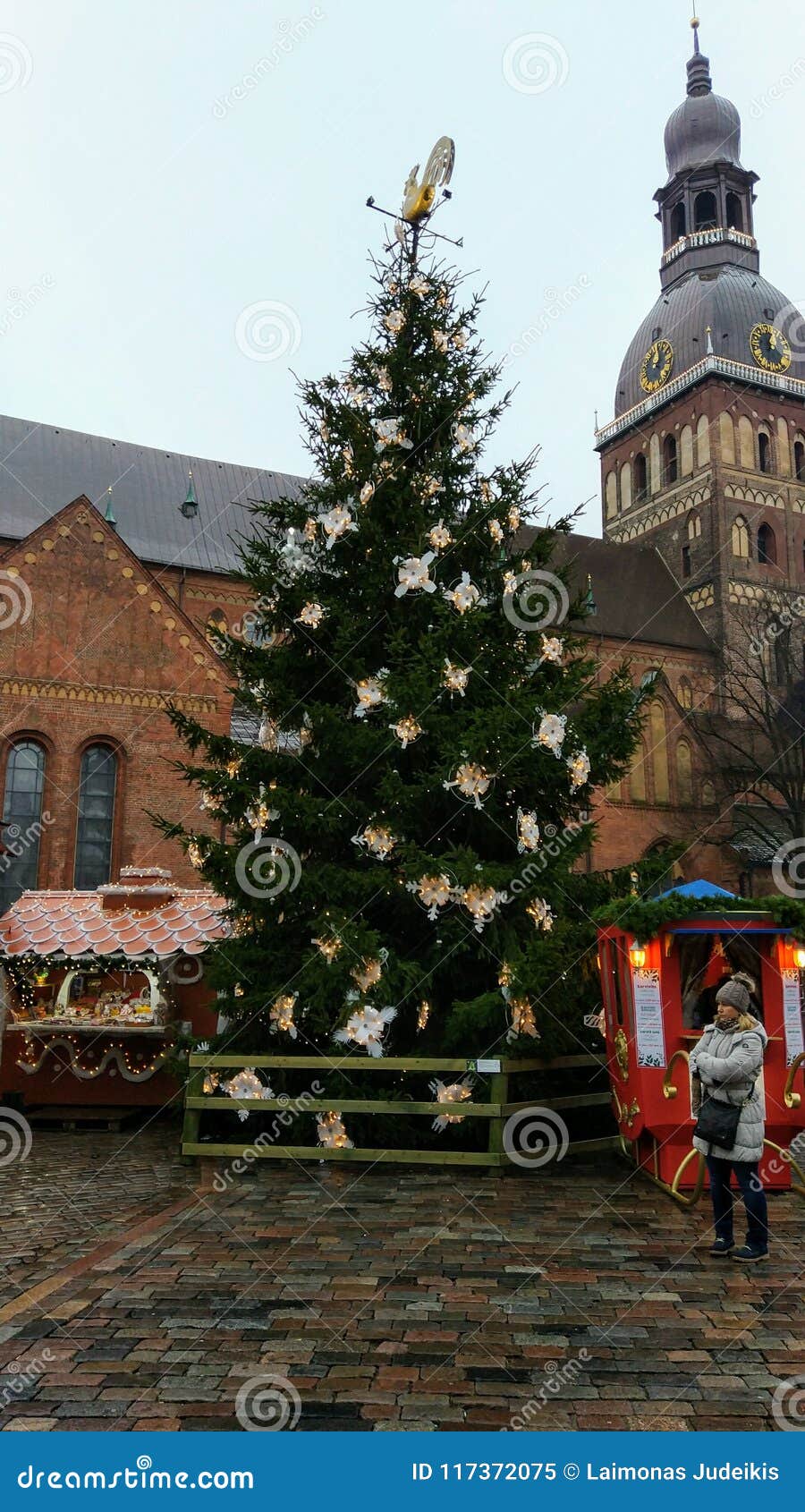 Ryga Christmas tree editorial image. Image of view, green - 117372075