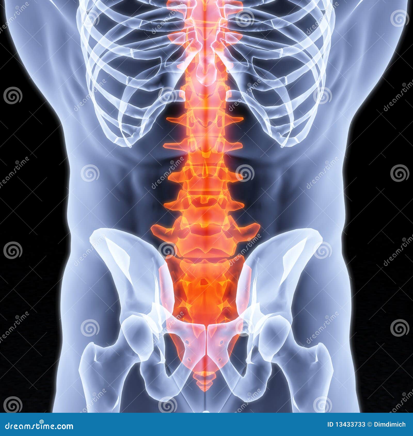 Rygg stock illustrationer. Illustration av hälsa, sjukdom - 13433733