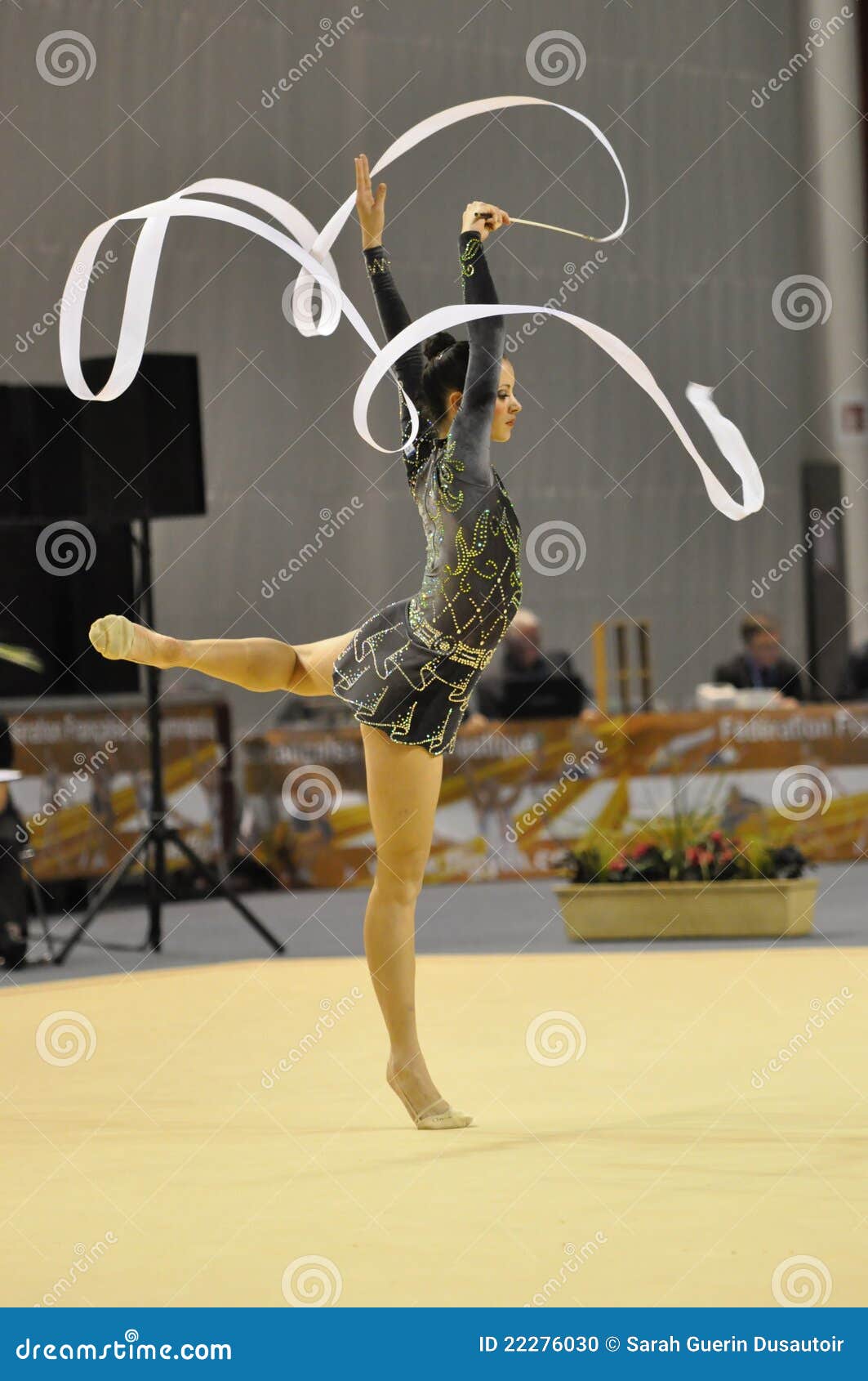 Rythmic Gymnastic editorial image. Image of exercice - 22276030