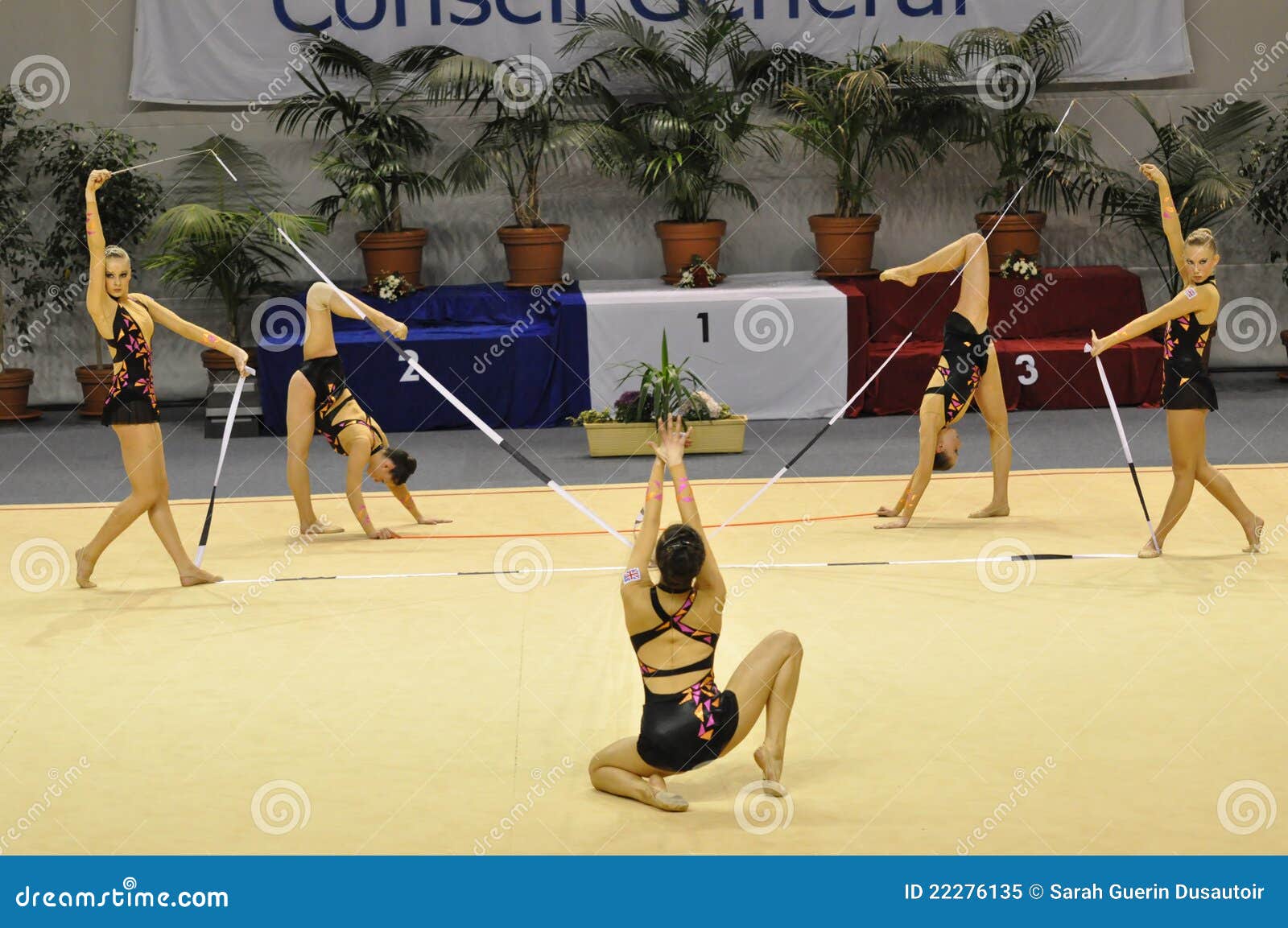Rythmic Gymnastic editorial image. Image of tournement - 22276135